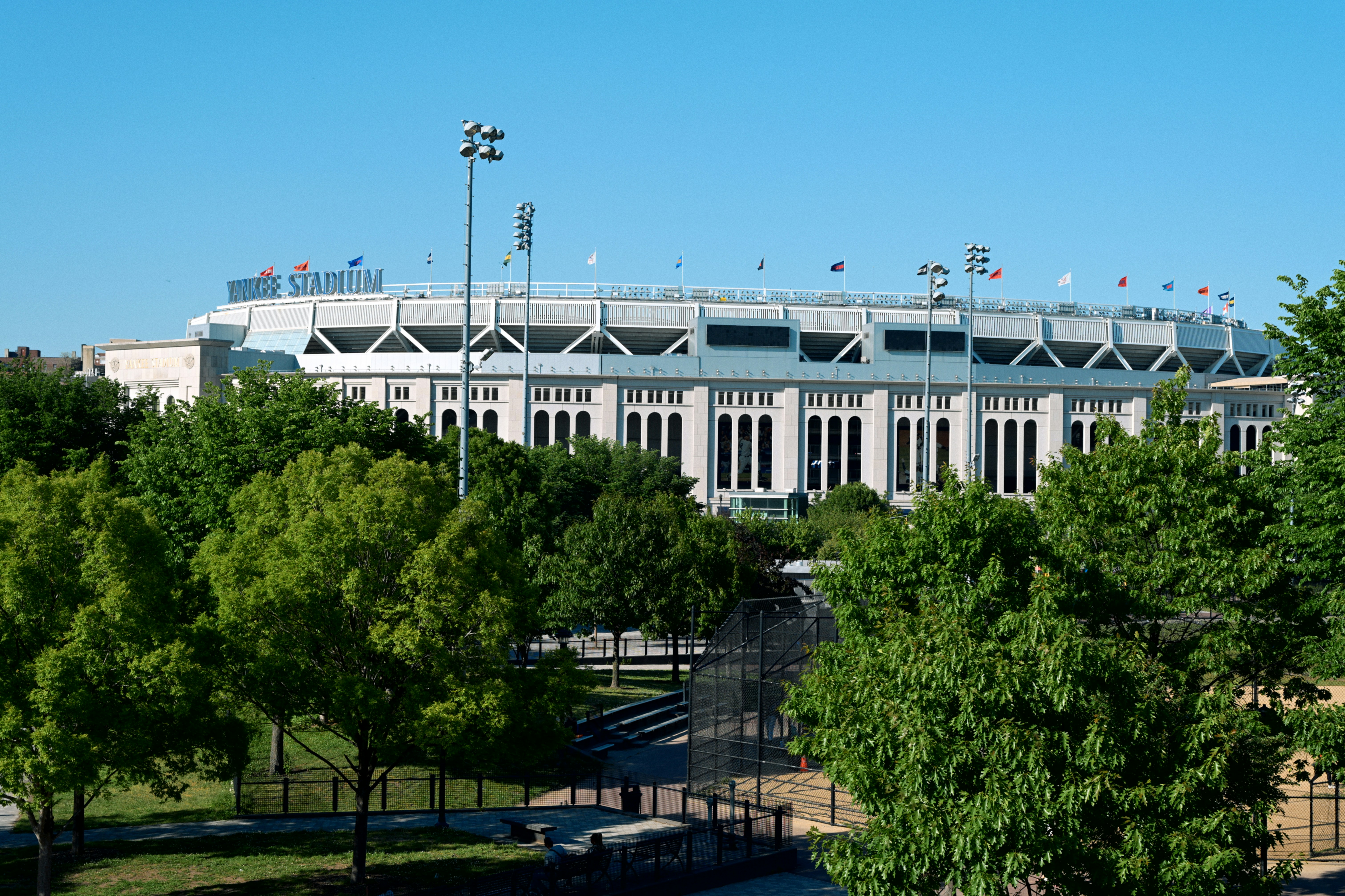 Sunlit Stadium Rising Above a Canopy of Greenery