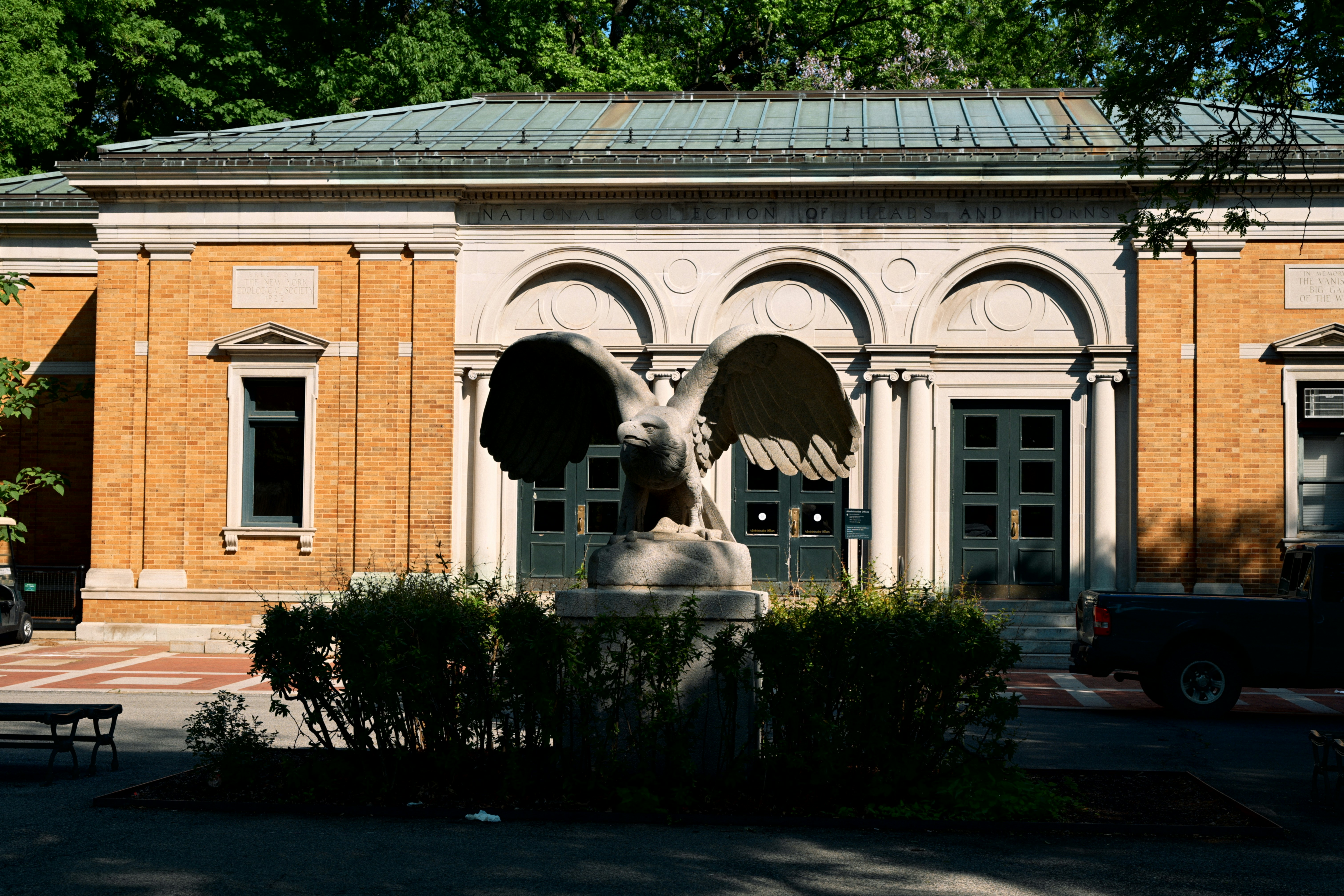 Winged Guardian Over a Silent Court