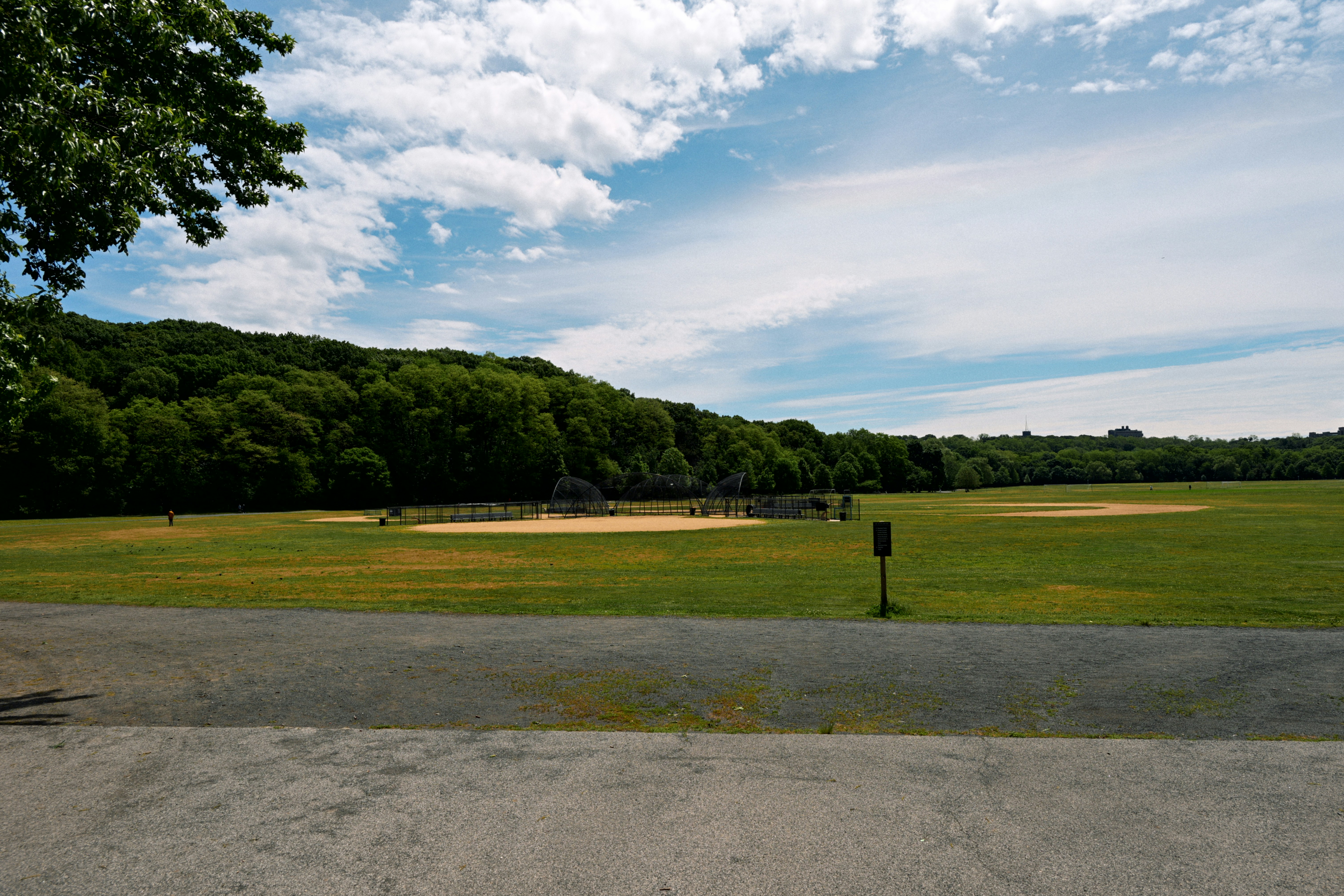 A wide green field with trees under a cloudy sky.