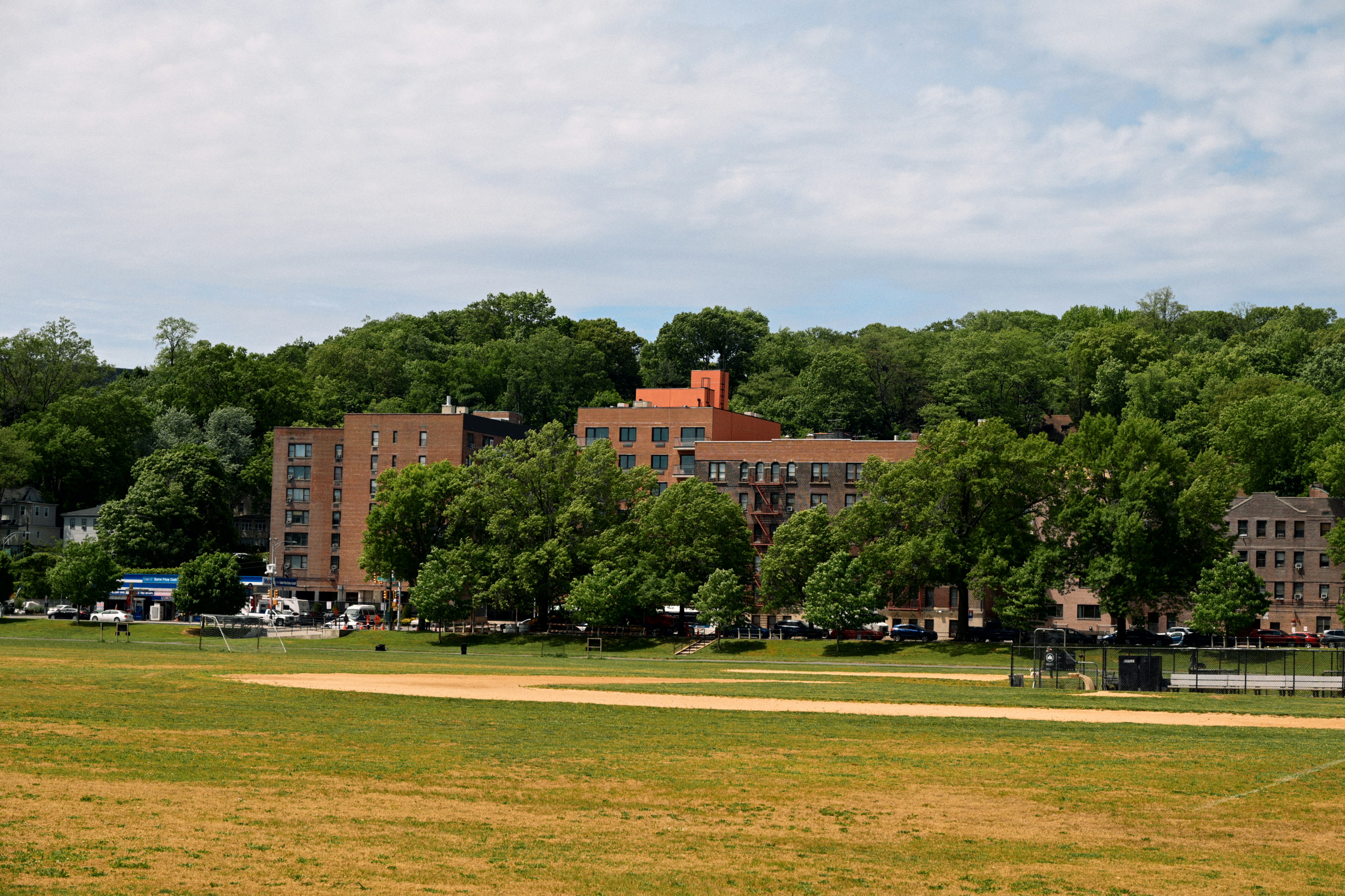 Campus Row Along the Tree-Lined Quad