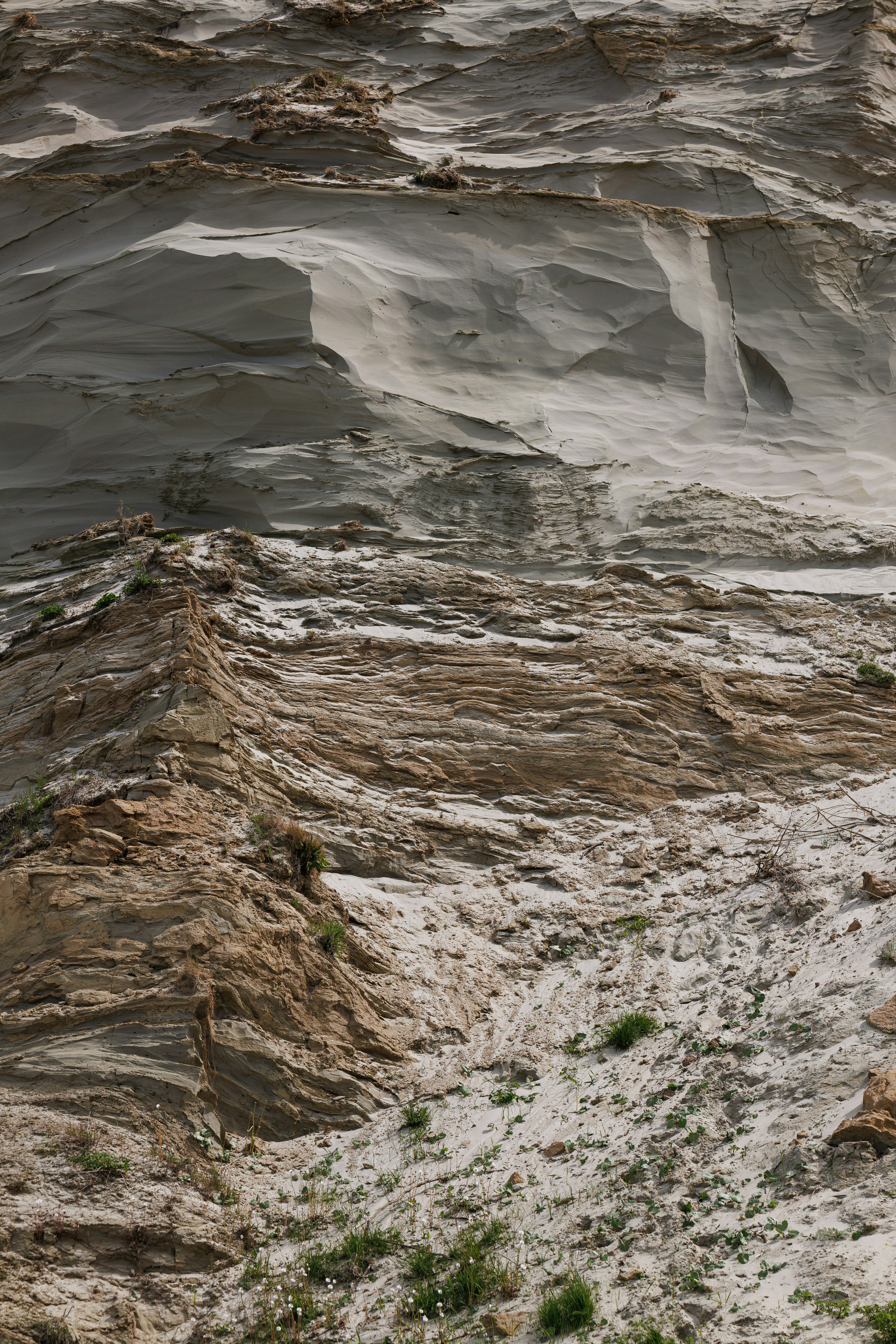 Echoes of Eroded Strata: A Quiet Cliff Face Sculpted by Time