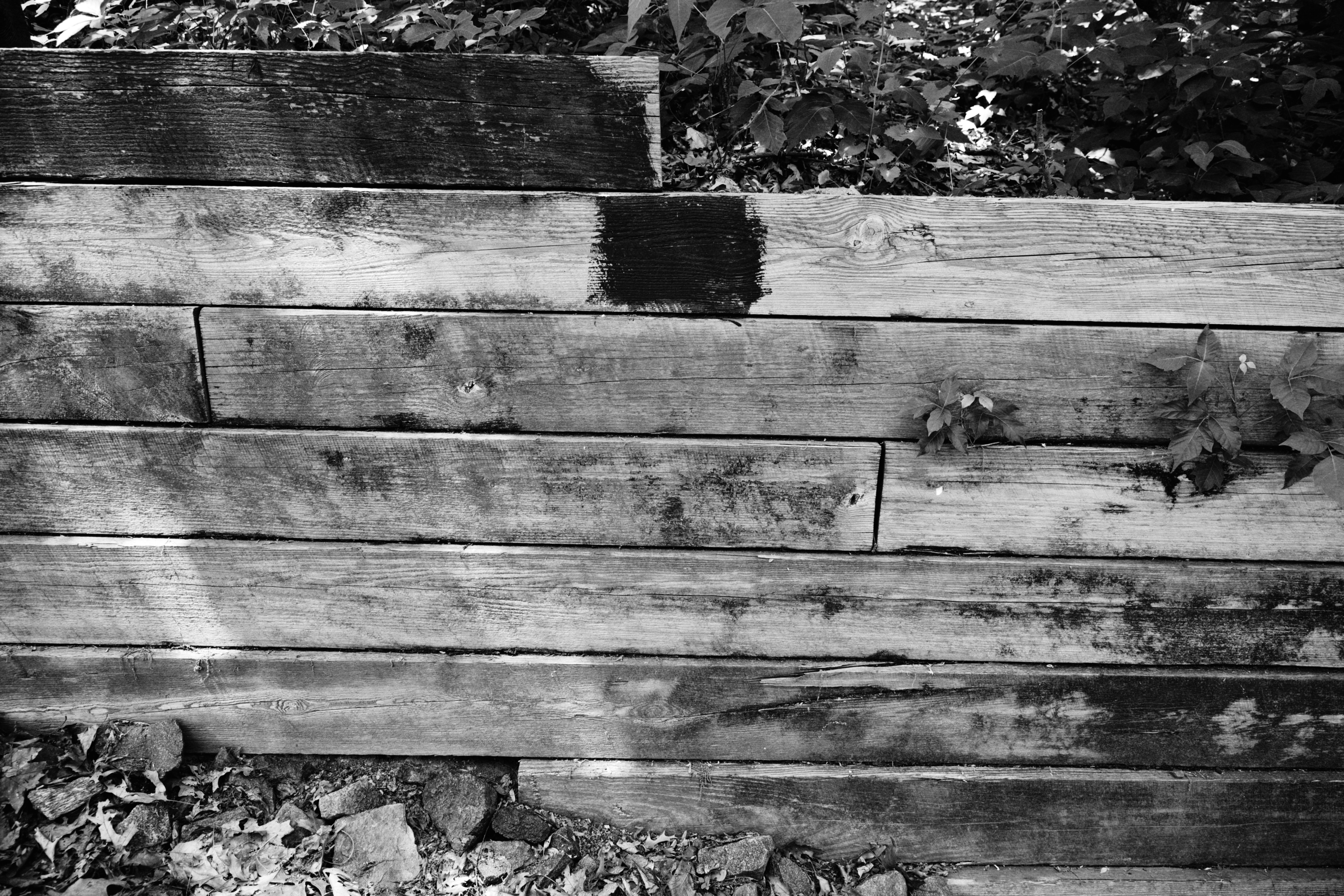Retaining Wall Pictures | Download Free Images on Unsplash