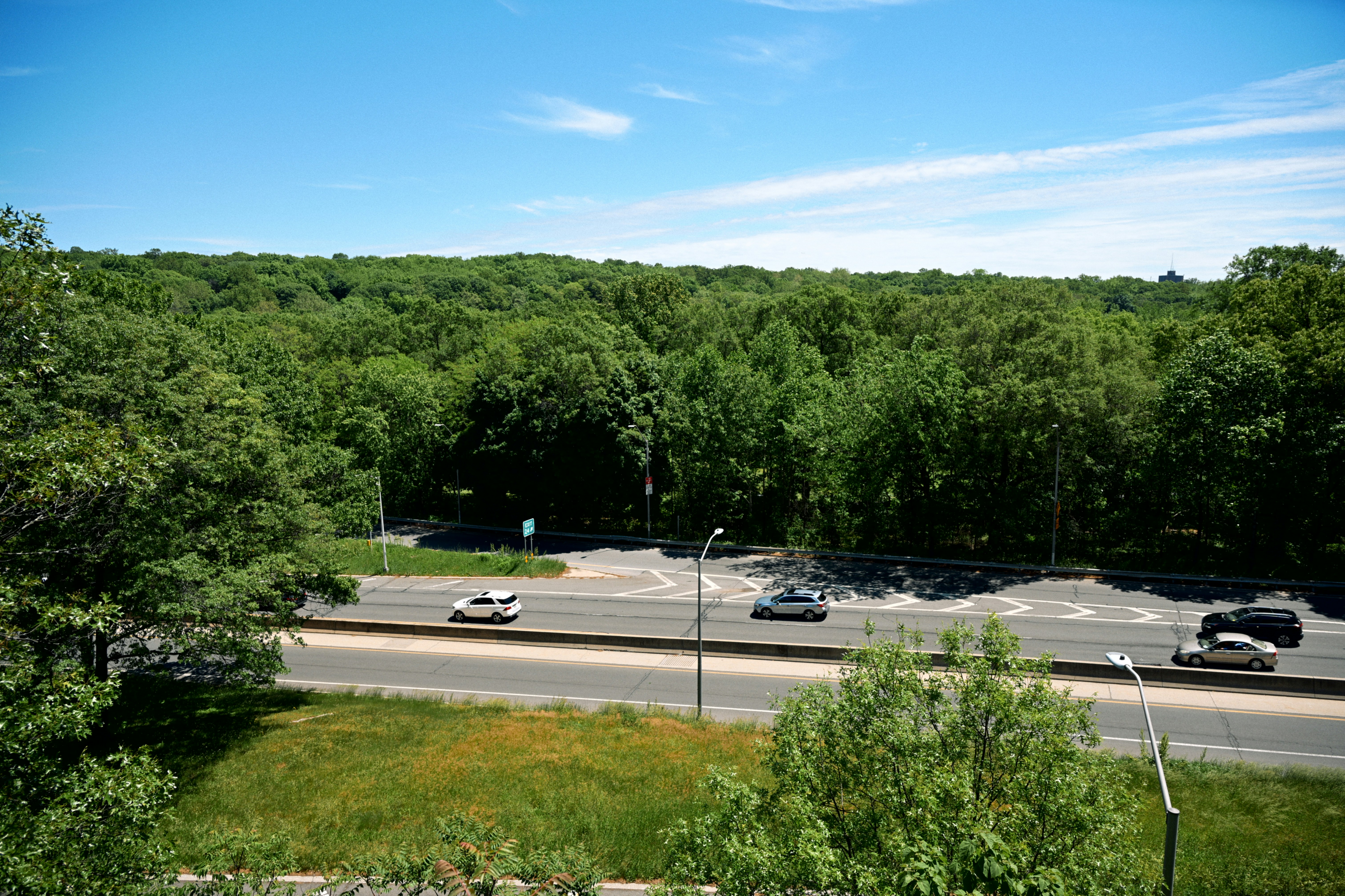 Highway Through a Green Corridor
