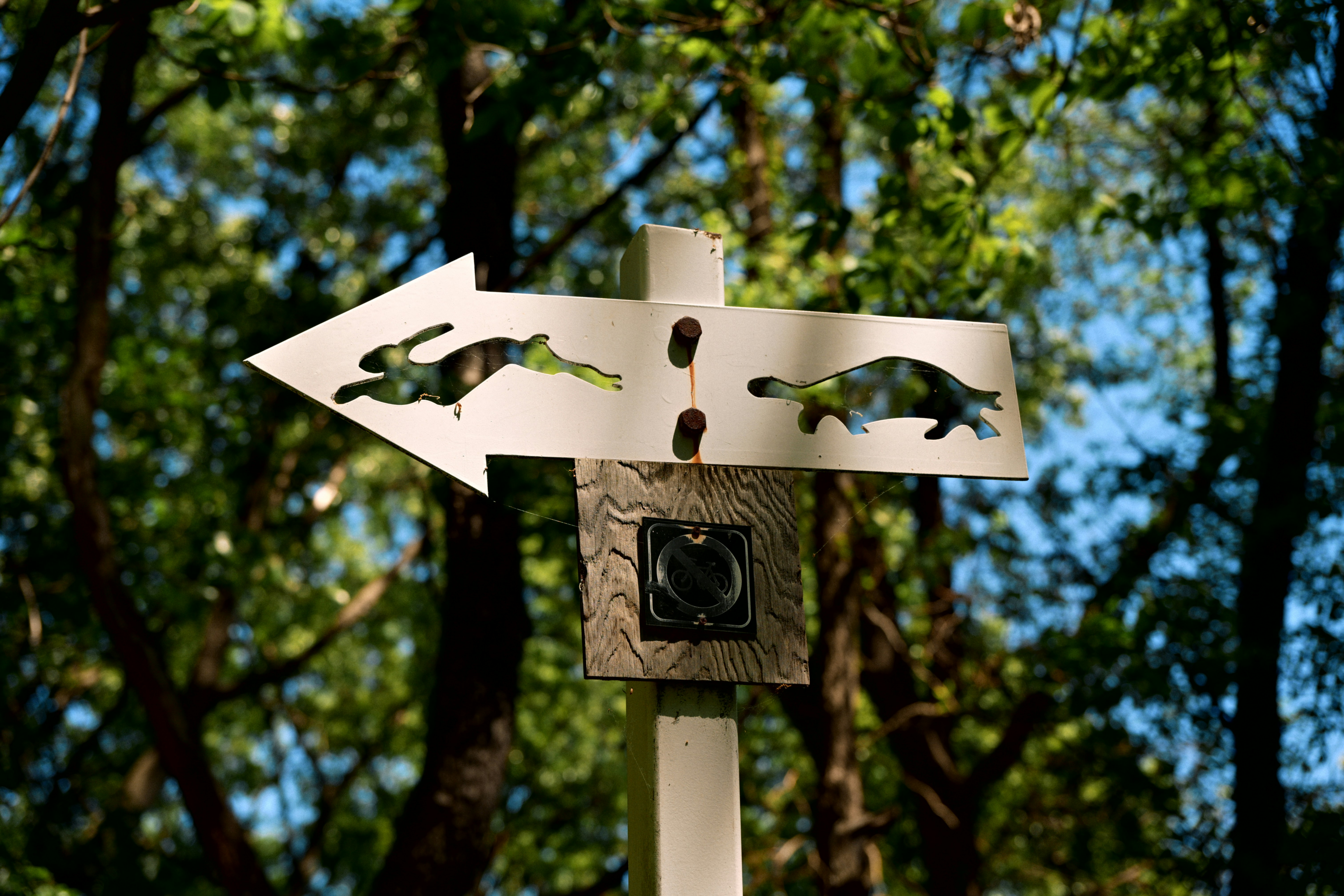 Fox Silhouettes Point the Way: A Woodland Arrow Sign