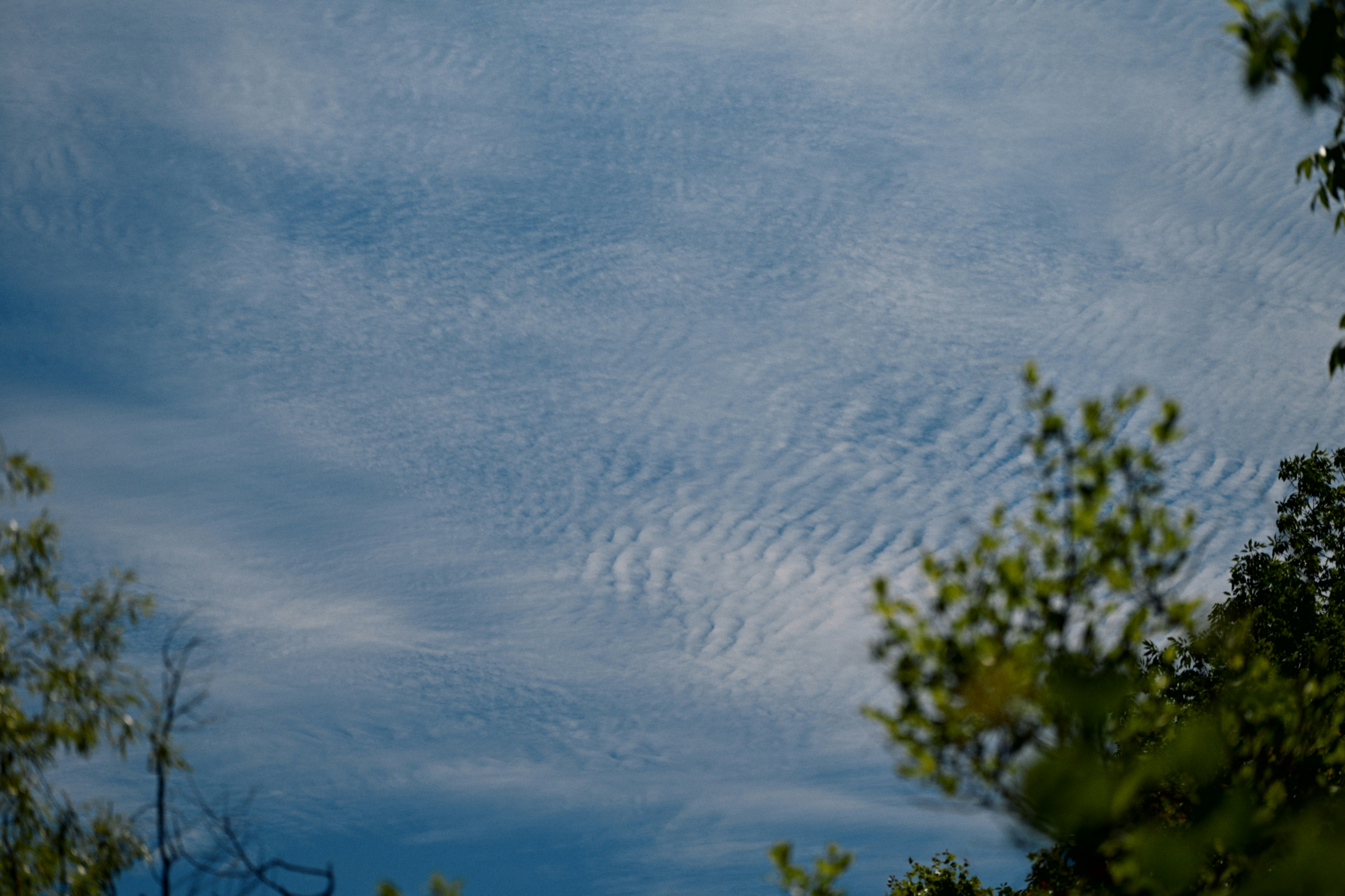 Wisped Sky: Ripples of Light Across a Quiet Afternoon