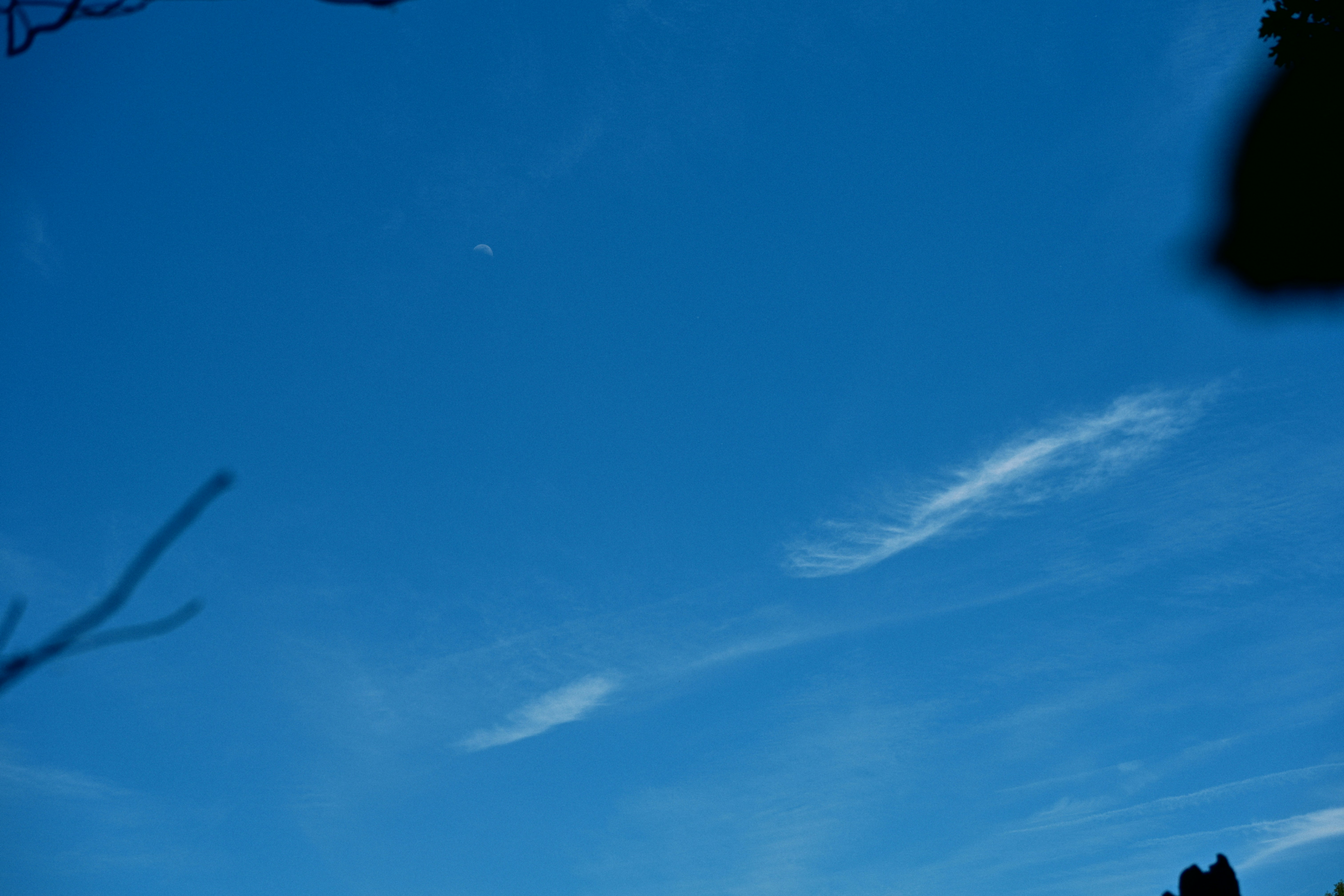 Azure Sky with Subtle Cloud Whispers
