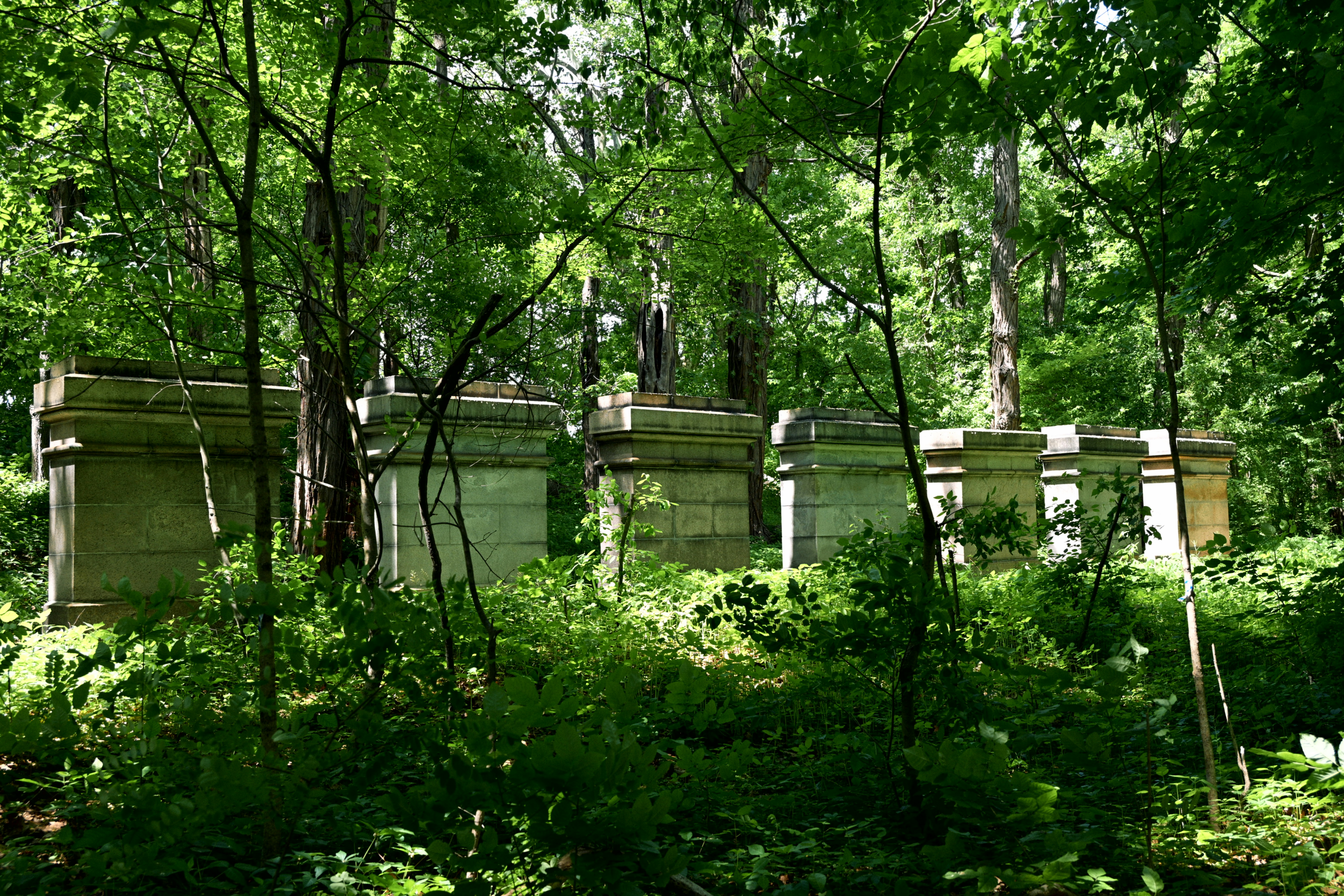 Hidden Monuments: Sunlit Crypts Reclaim the Forest