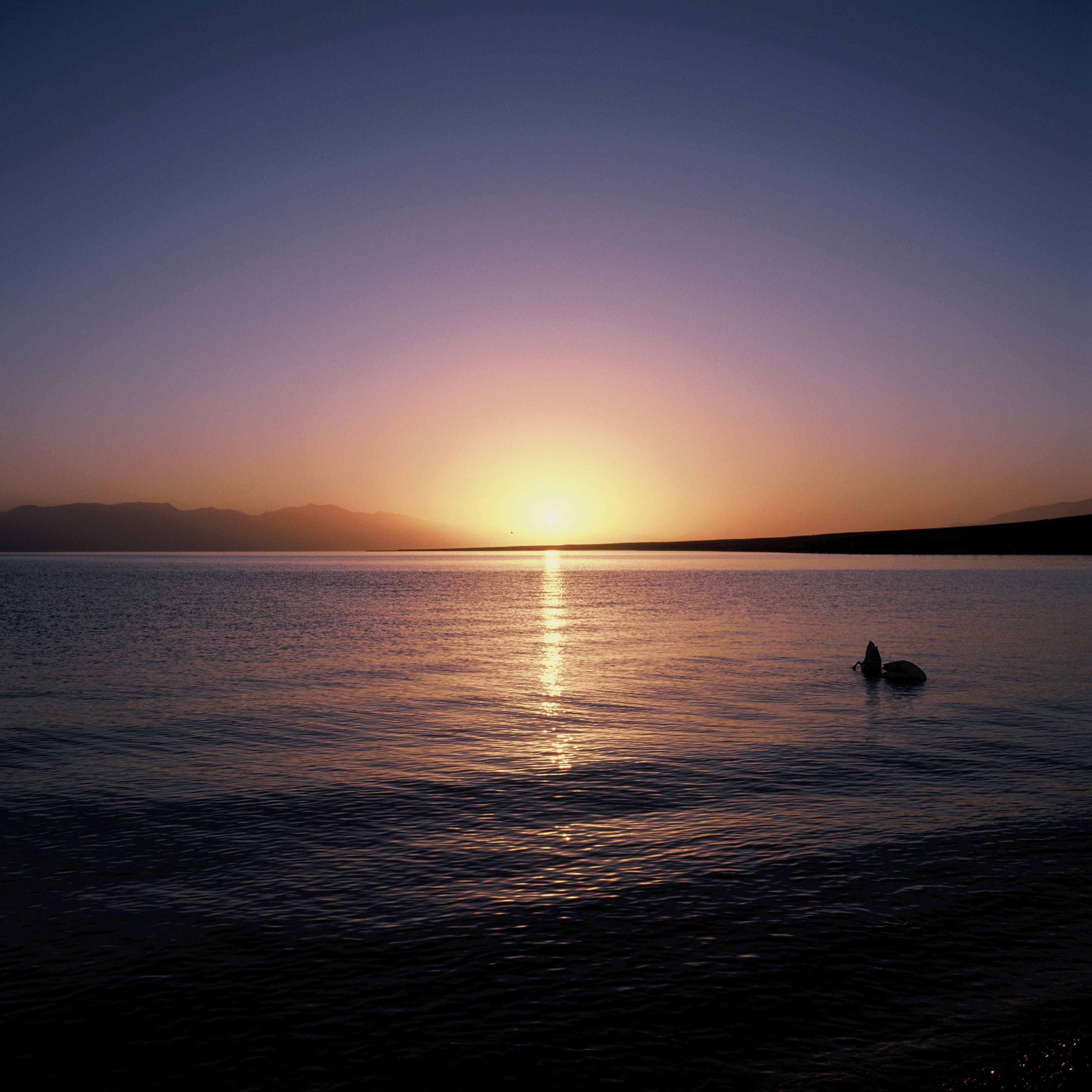 Sunset on Quiet Waters: A Silhouette of Tranquility