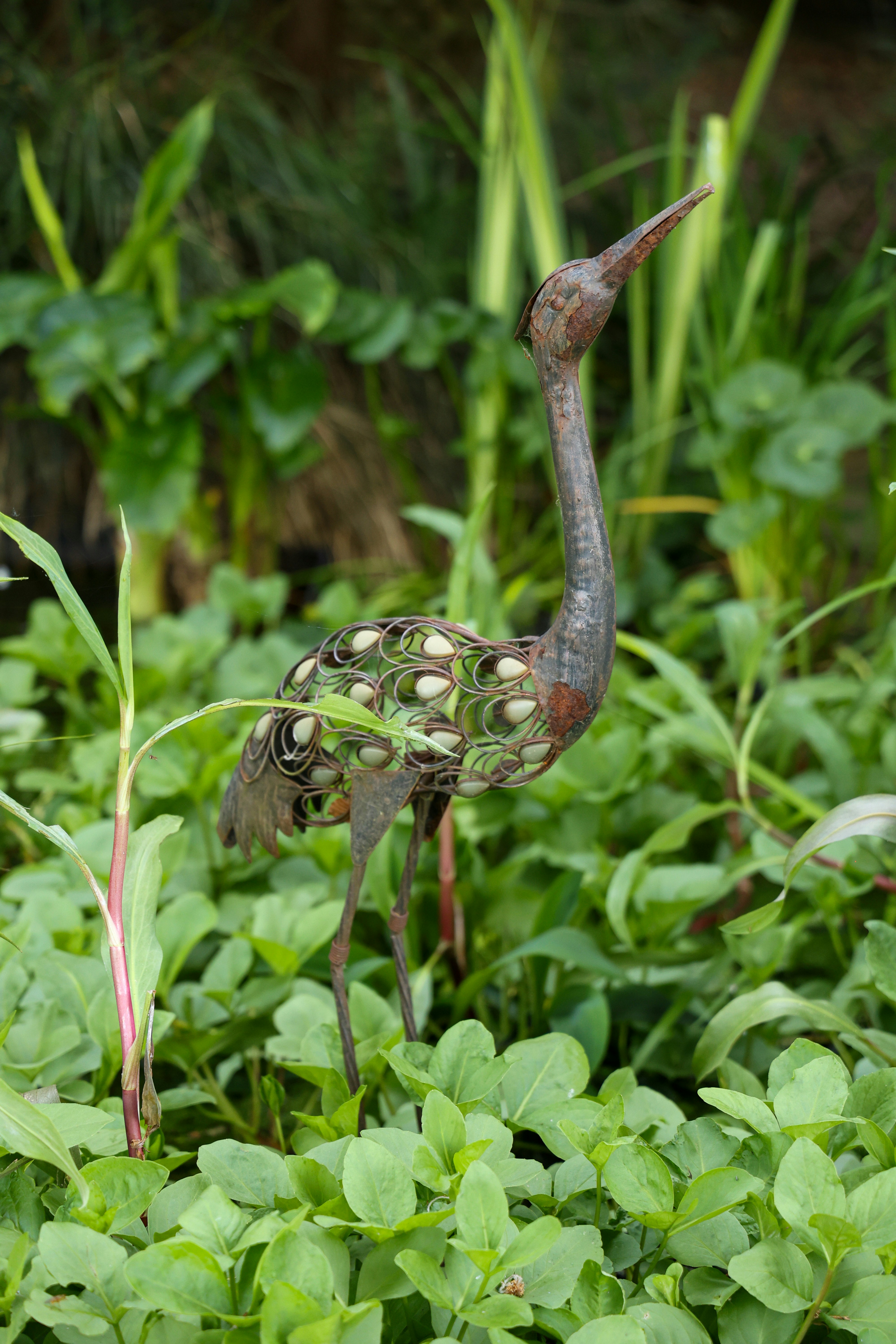 Rusting heron sculpture amidst emerald undergrowth