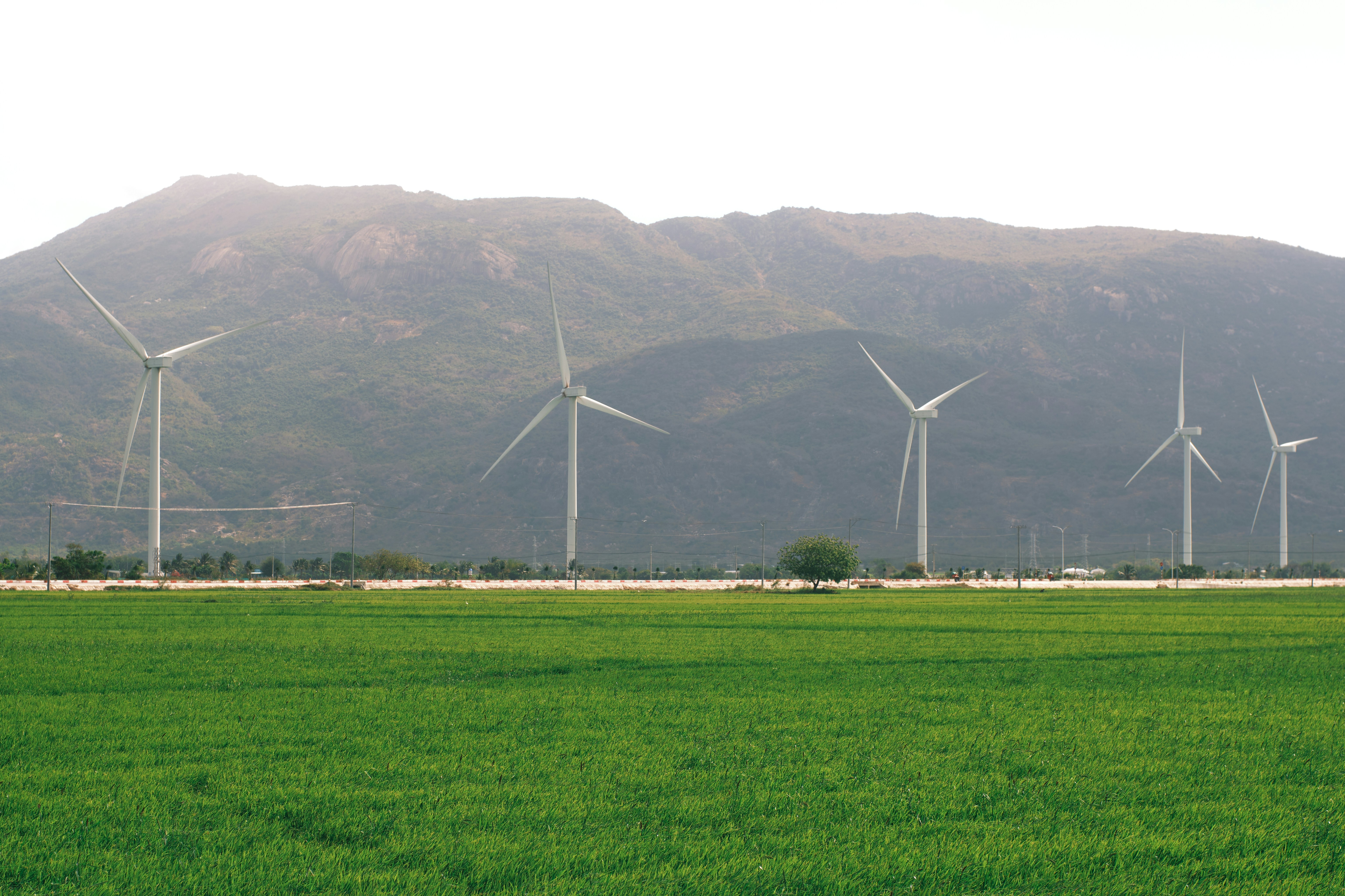 Wind Farm Beyond the Green Fields under Rugged Peaks