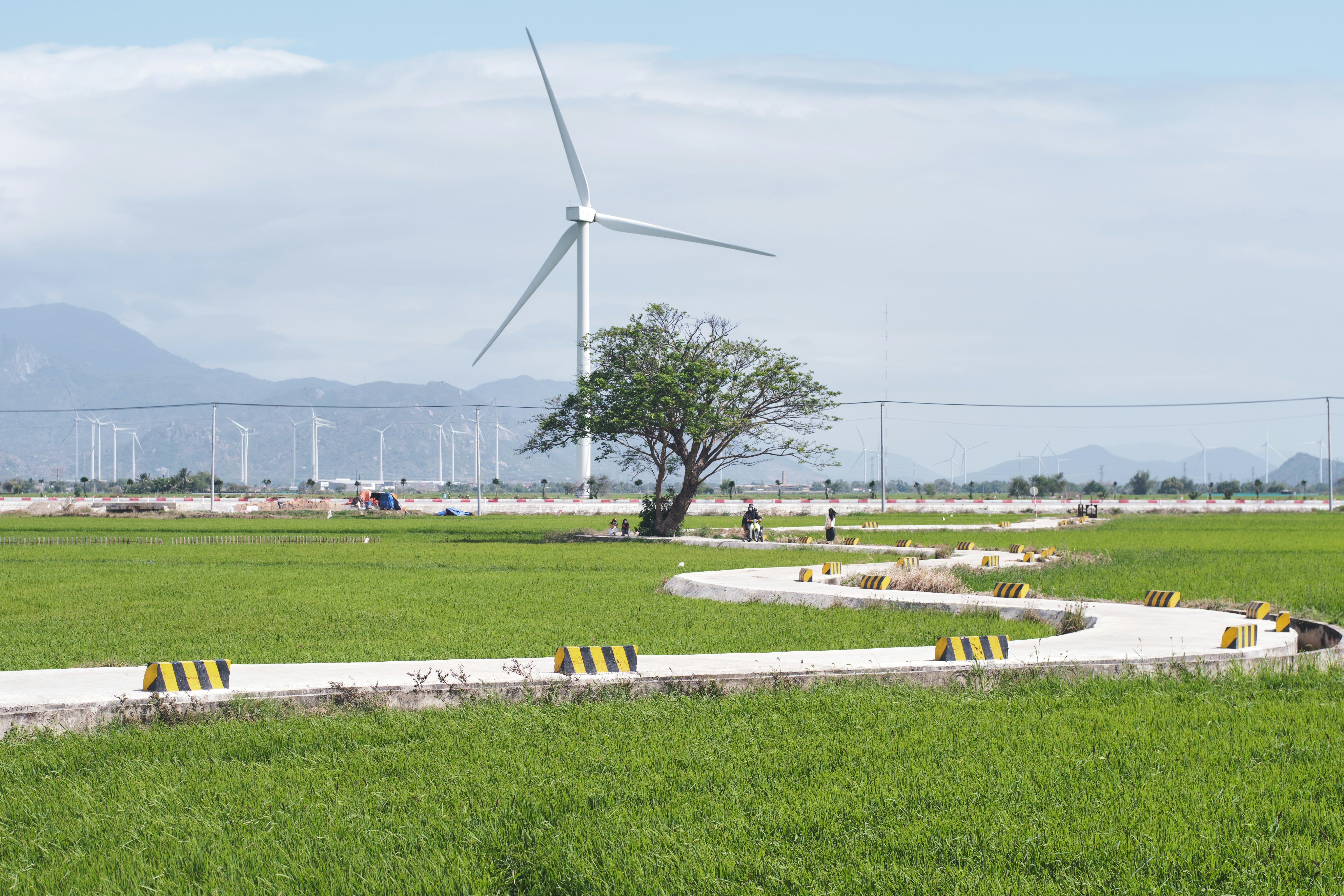 Windmill Sentinel Over the Emerald Field