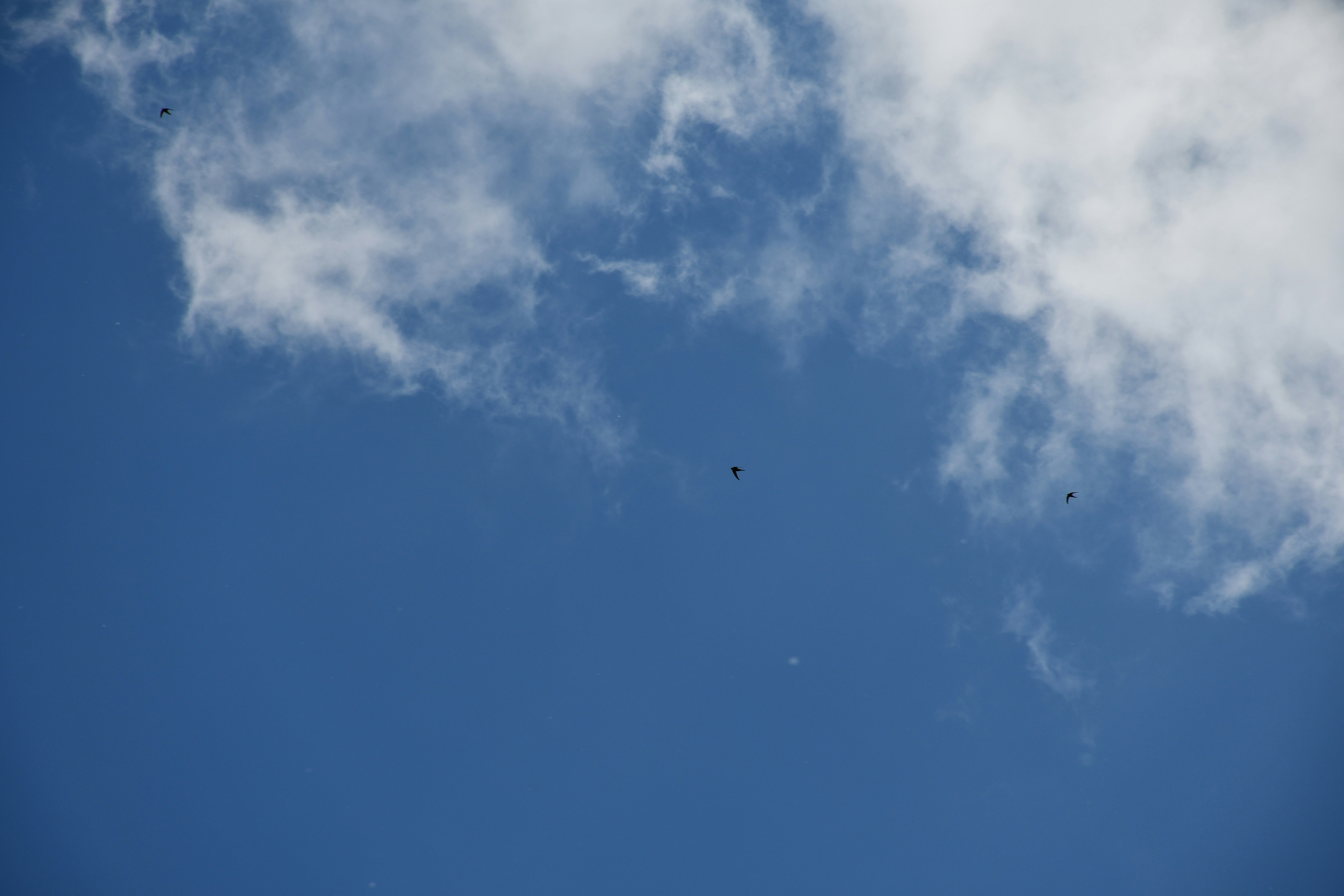 Skybound Whispers: A Sparse Vista of Blue and Cloud