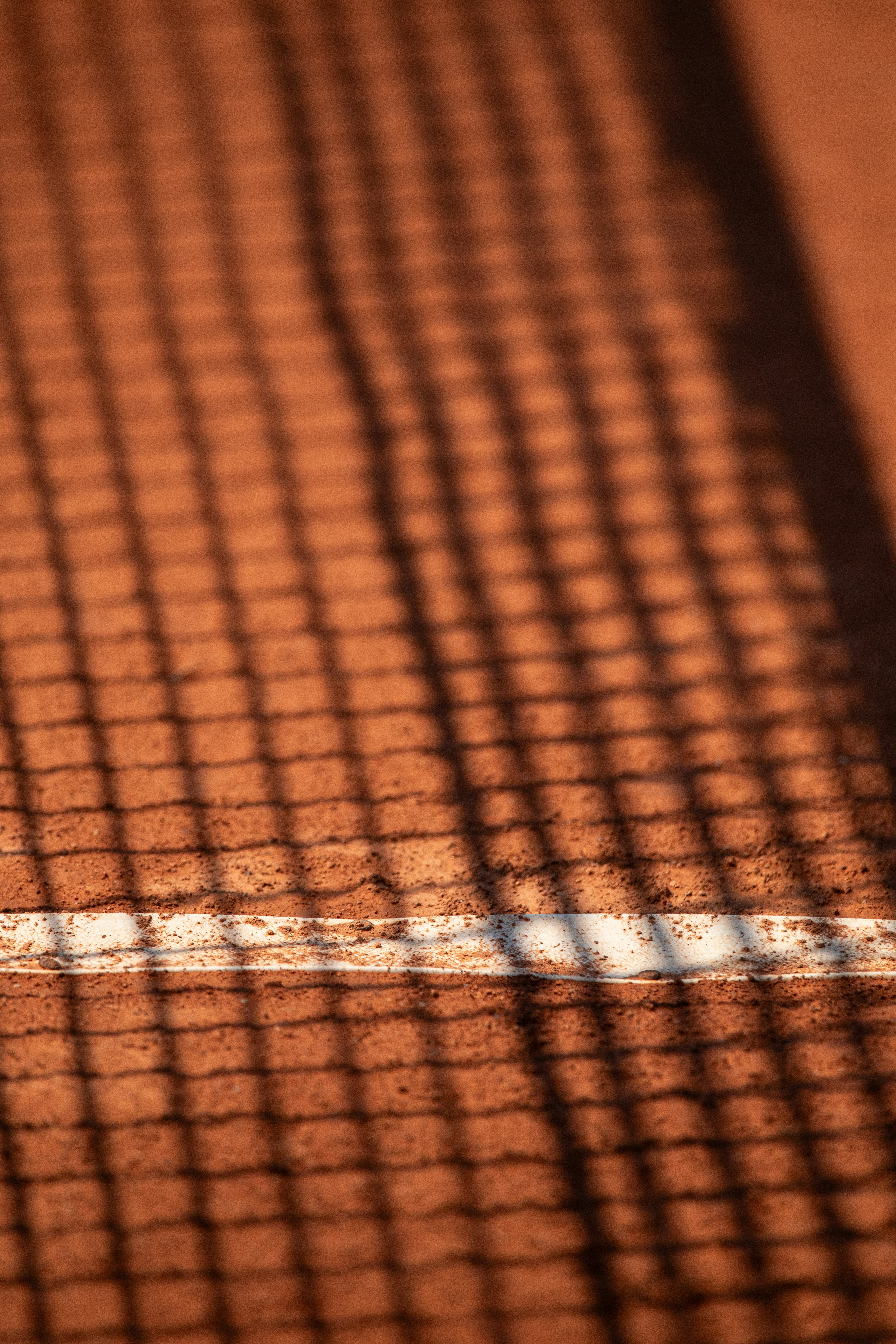 Grid of Shadowed Ridges on Earthen Surface