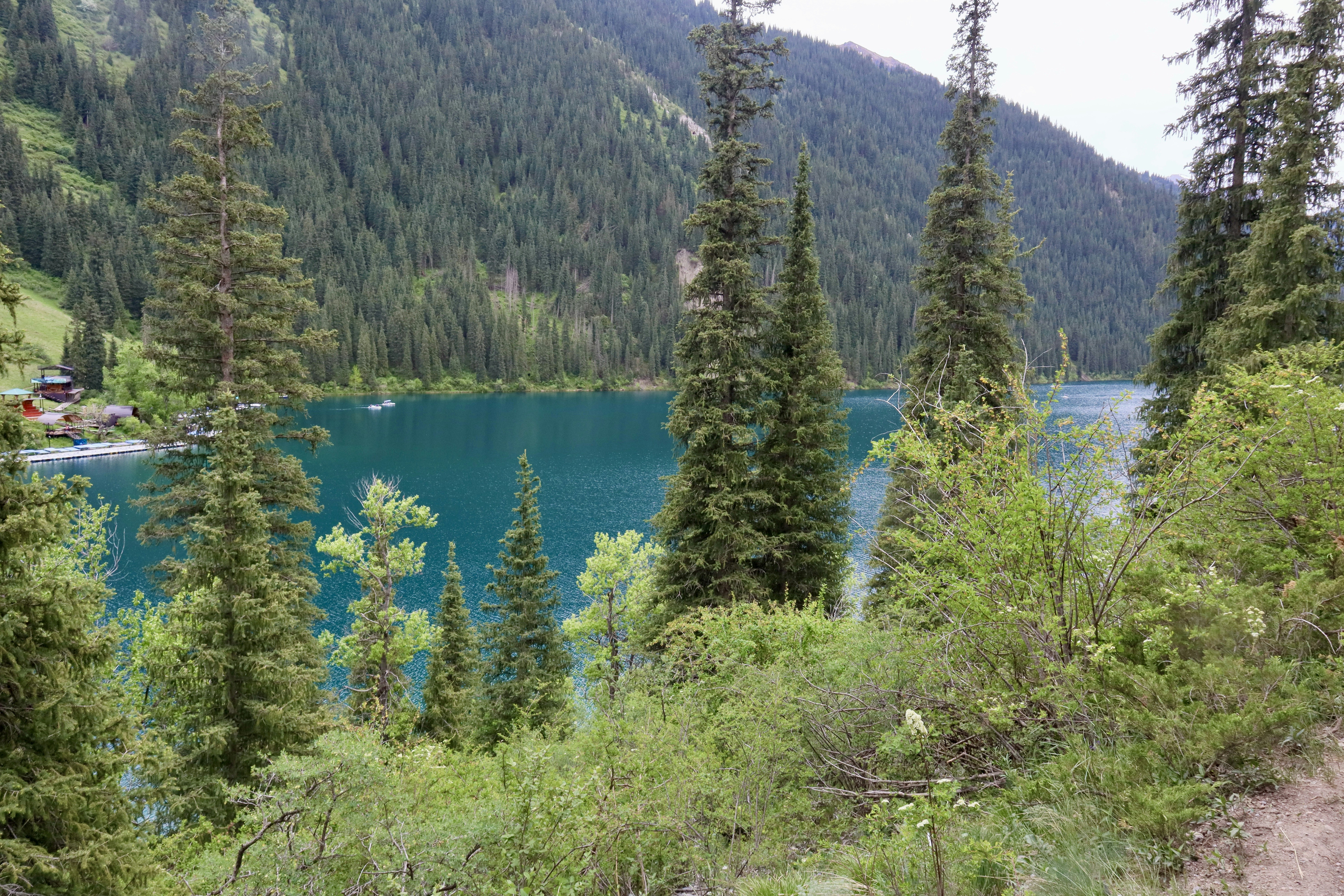 Teal alpine lake framed by pines and rugged peaks