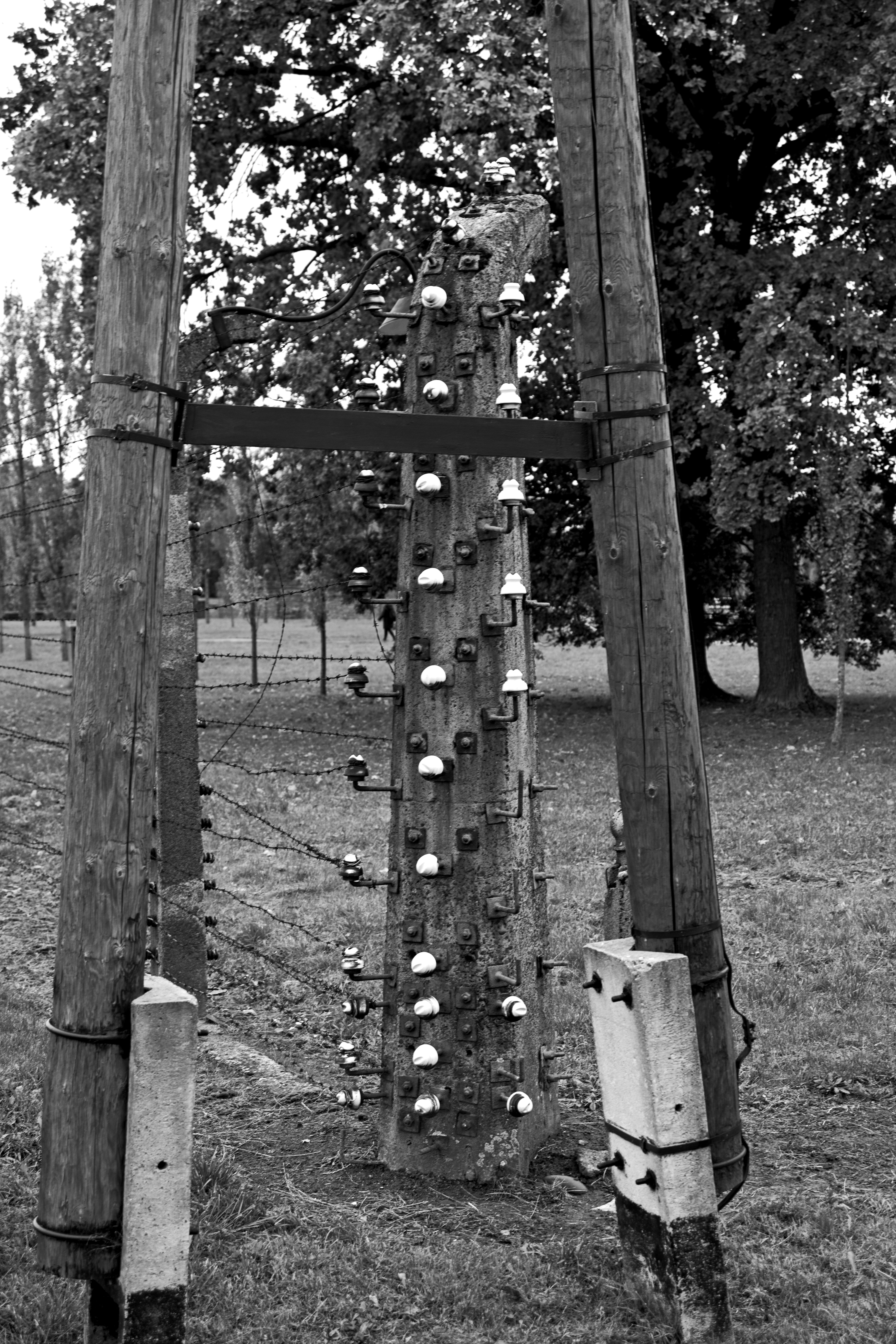Electrical Calisthenics: A Weathered Substation Post in the Park