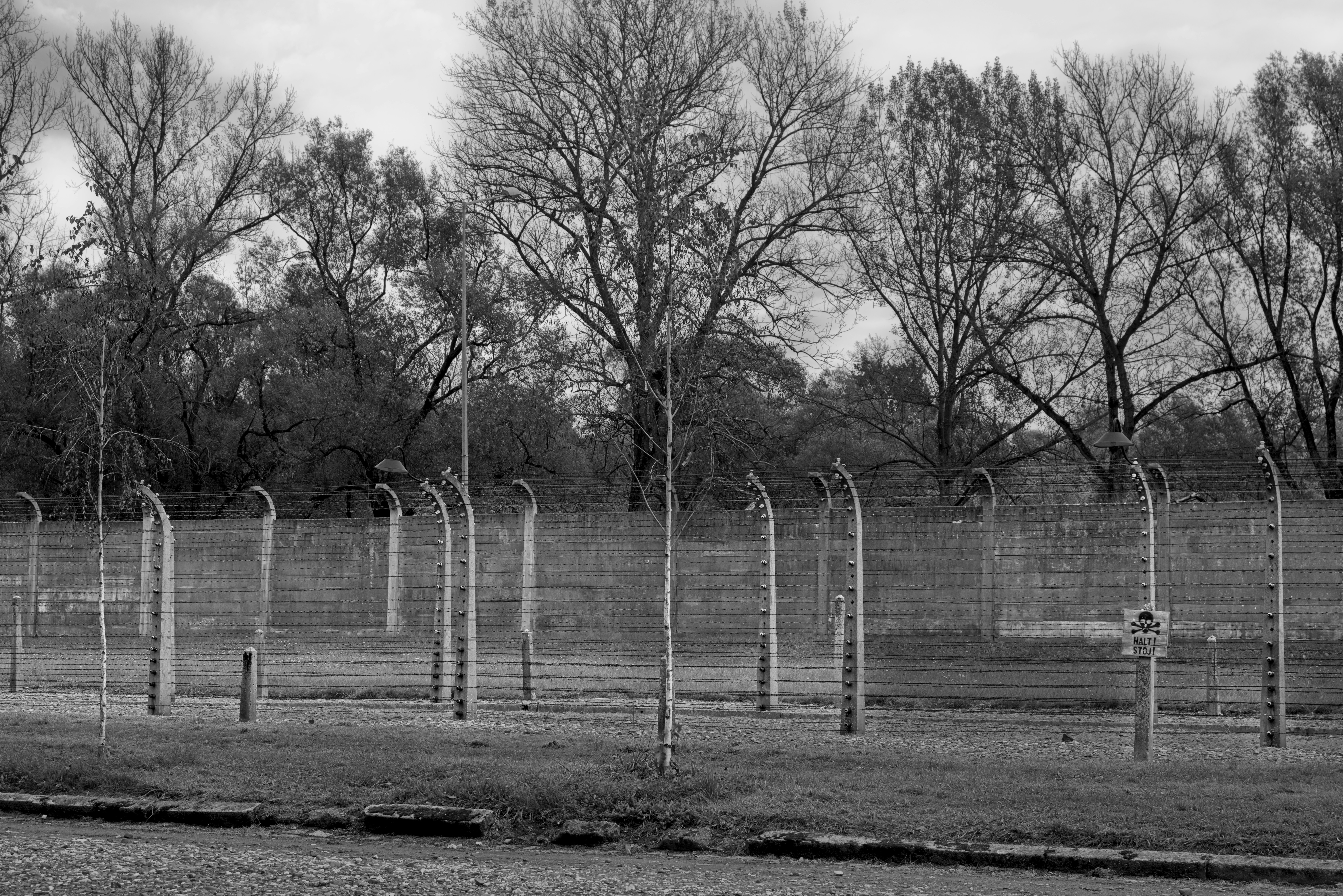 Barbed Silence: An Empty Fence Courtyard at Dusk