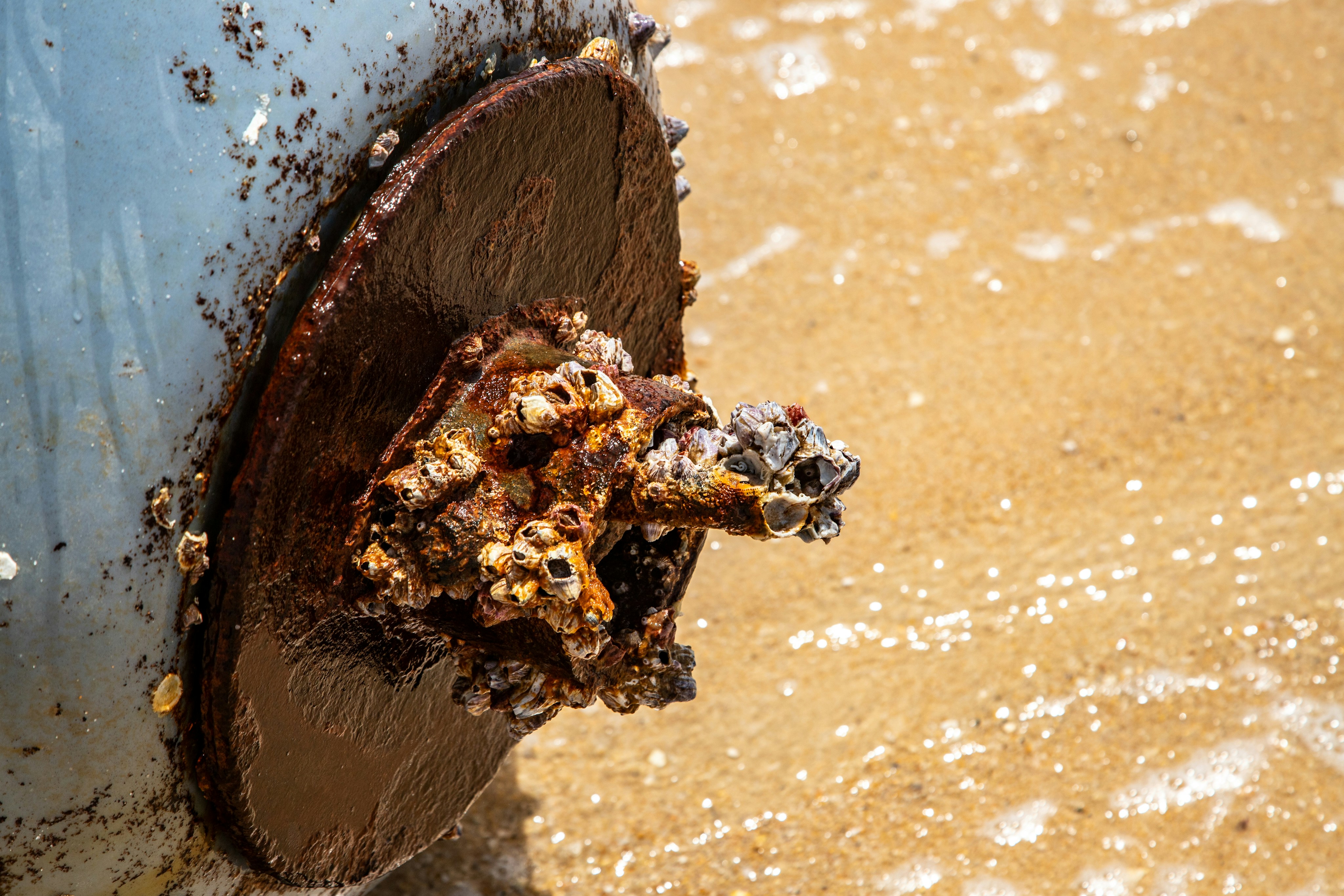 Rusting Hub: A Close-Up of Corrosion on a Sea-Fed Valve