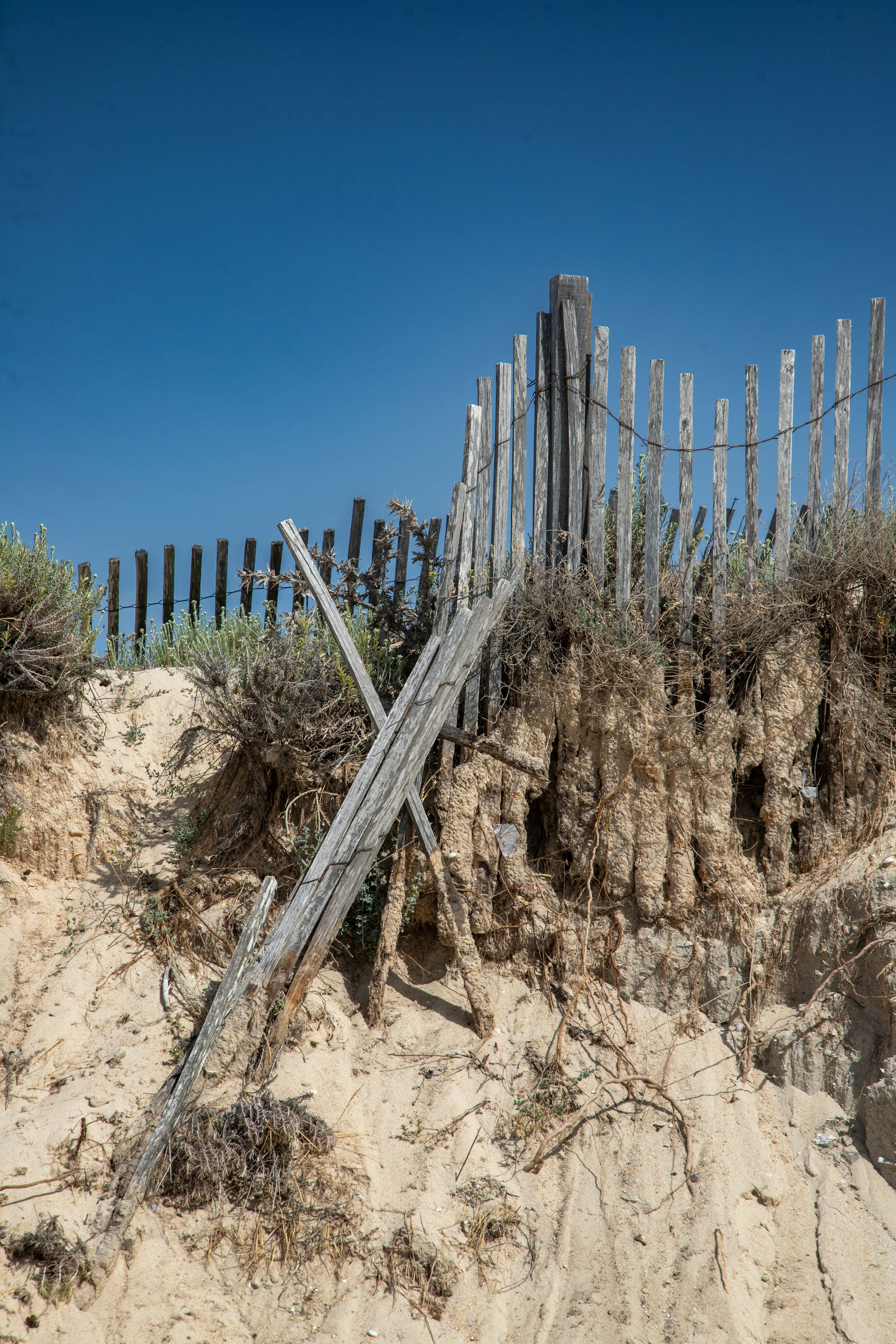 Weathered Fence at the Edge: Dune Border and Crisscrossed Wood