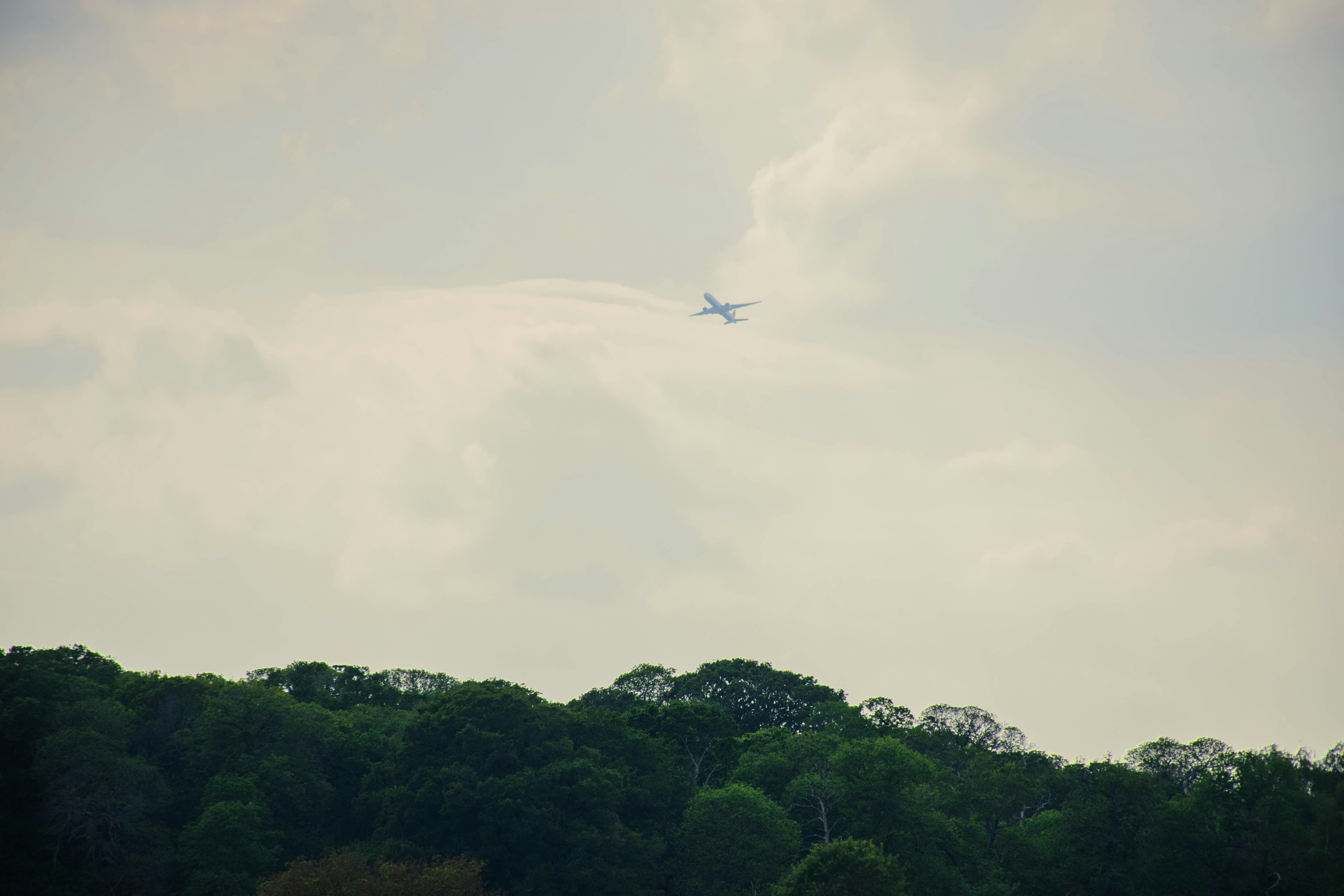 Airliner Silhouette Above a Quiet Tree Line at Dusk