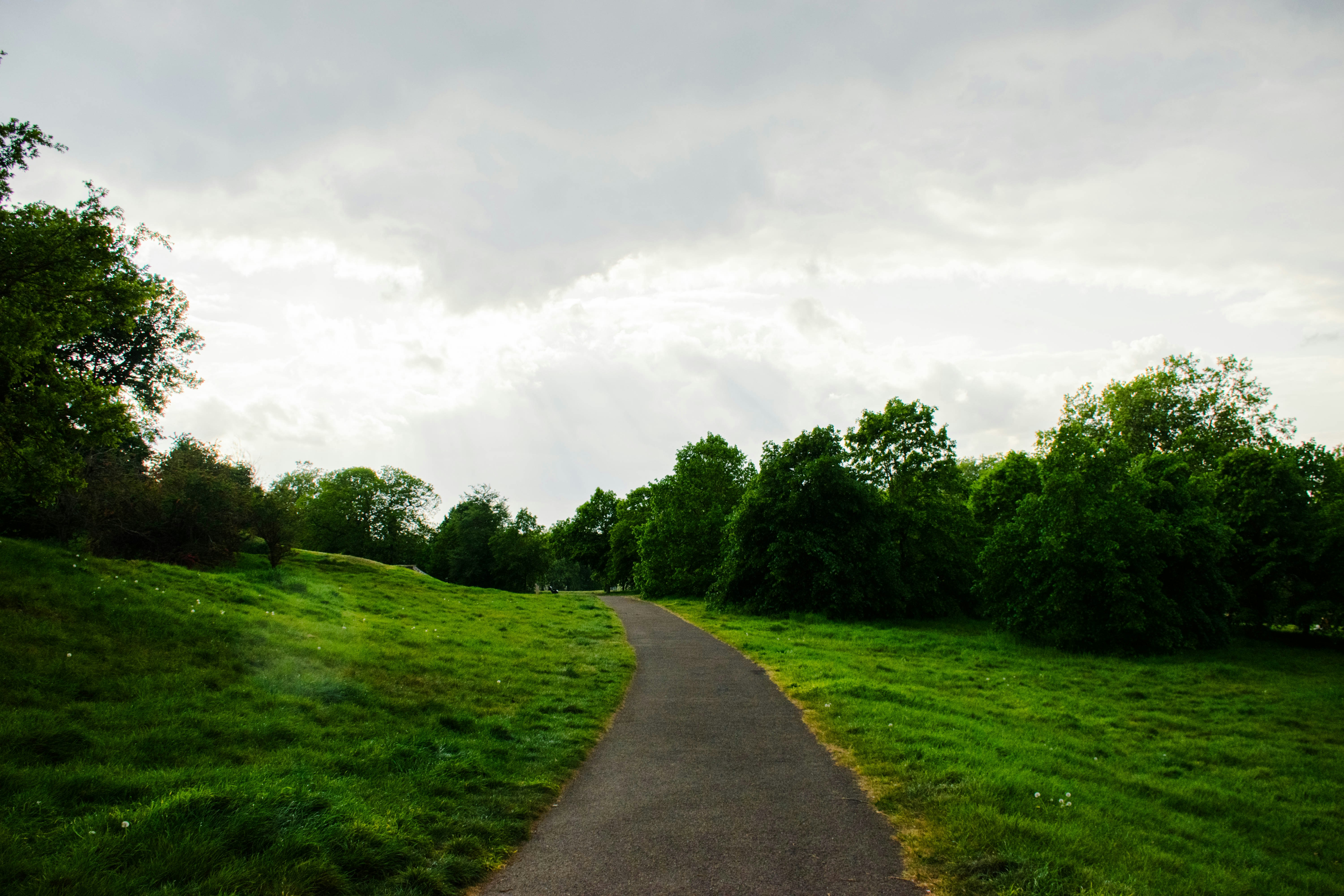 Mellow Path Through a Lush Green Valley