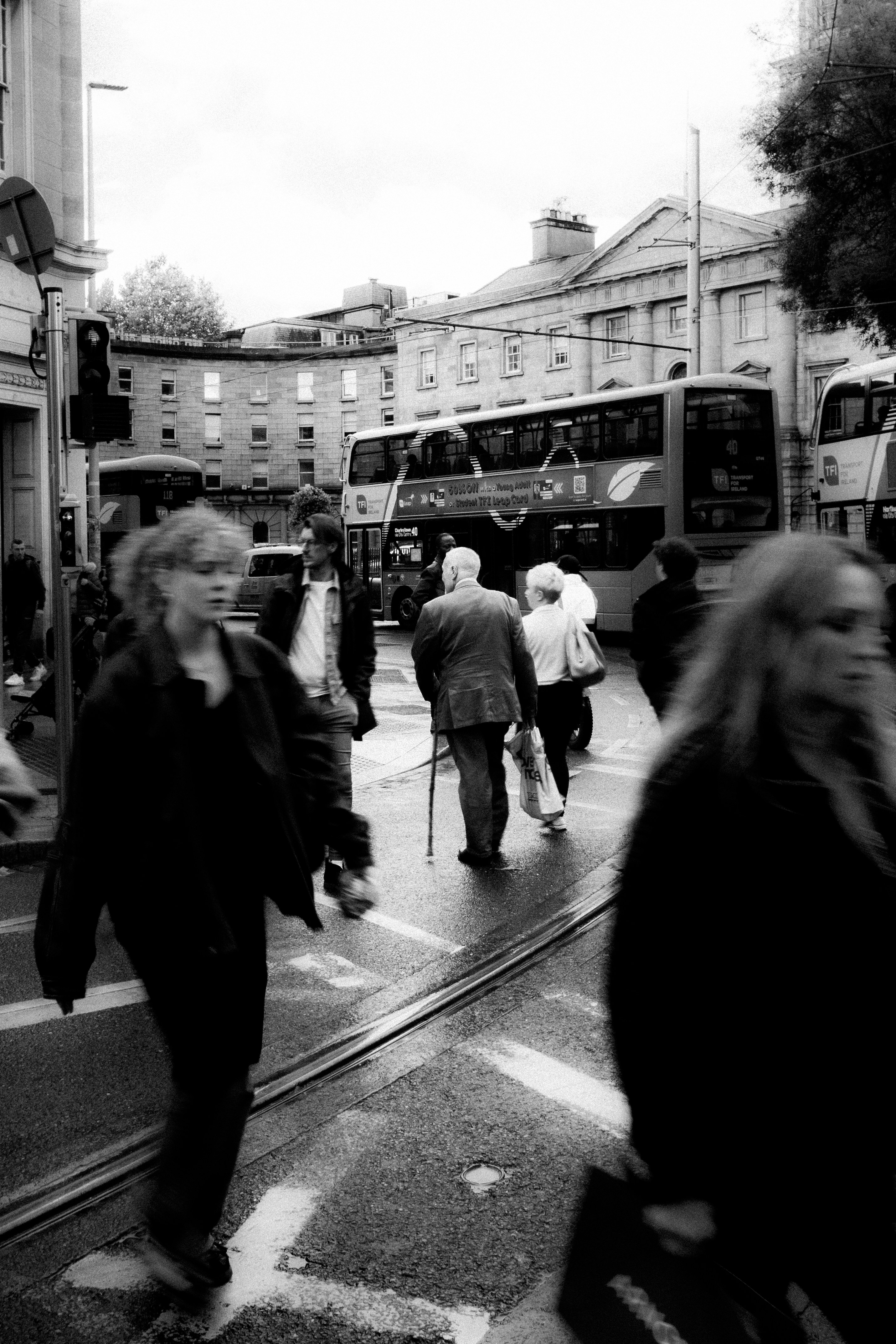 Crosswalk Convergence: A City Scene in Motion