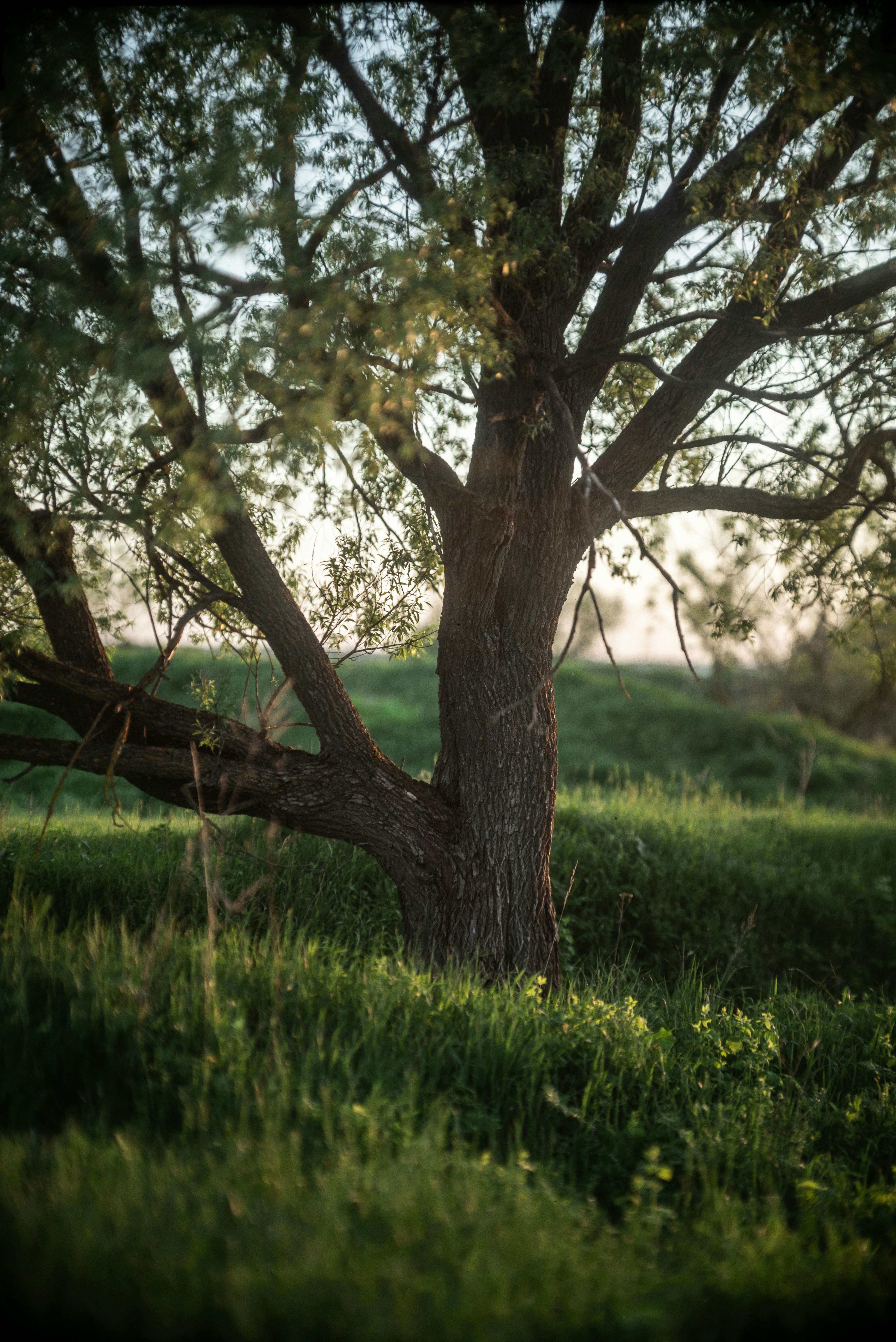 Spring | Unsplash
