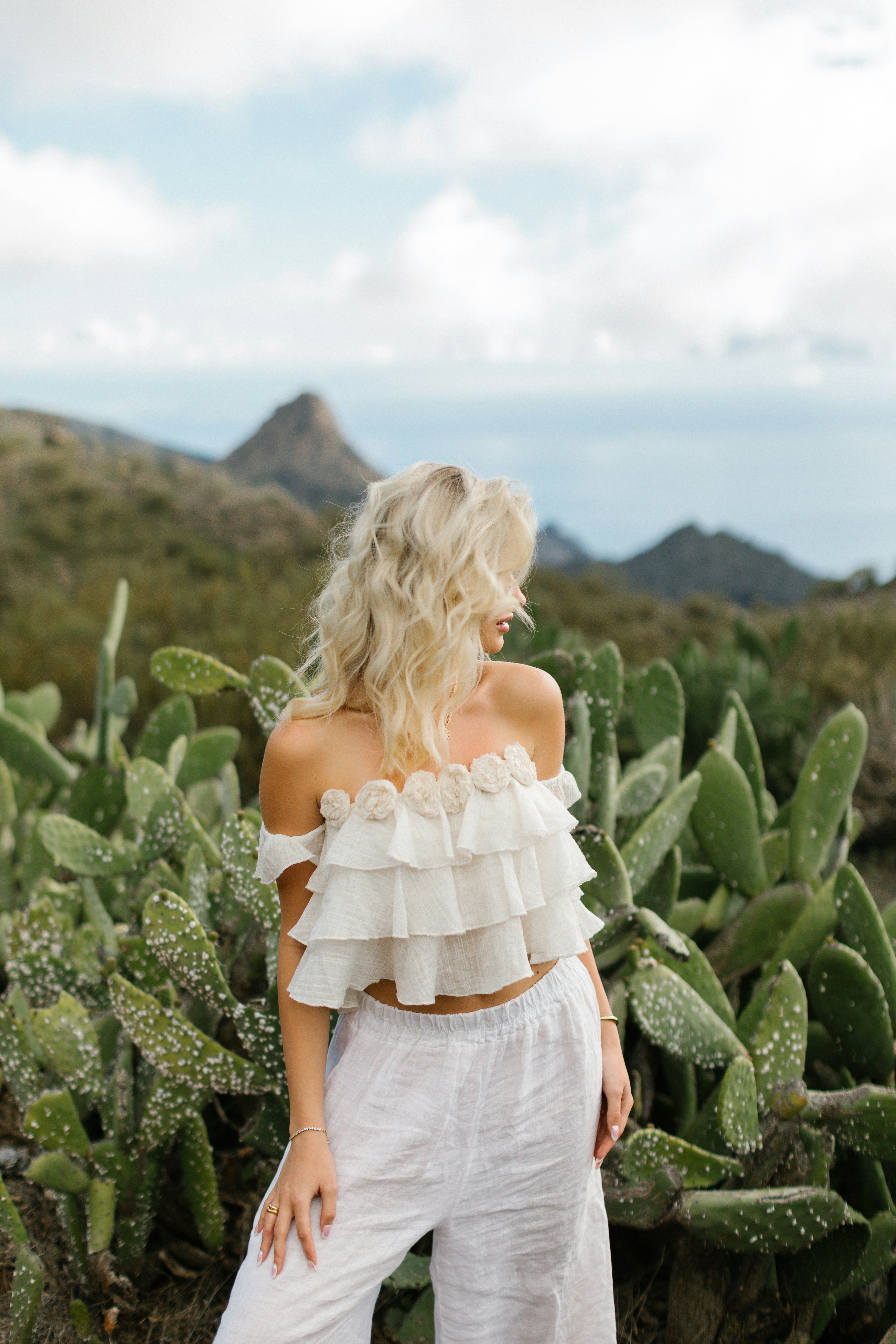 Blossoms of Light in Cactus Sea