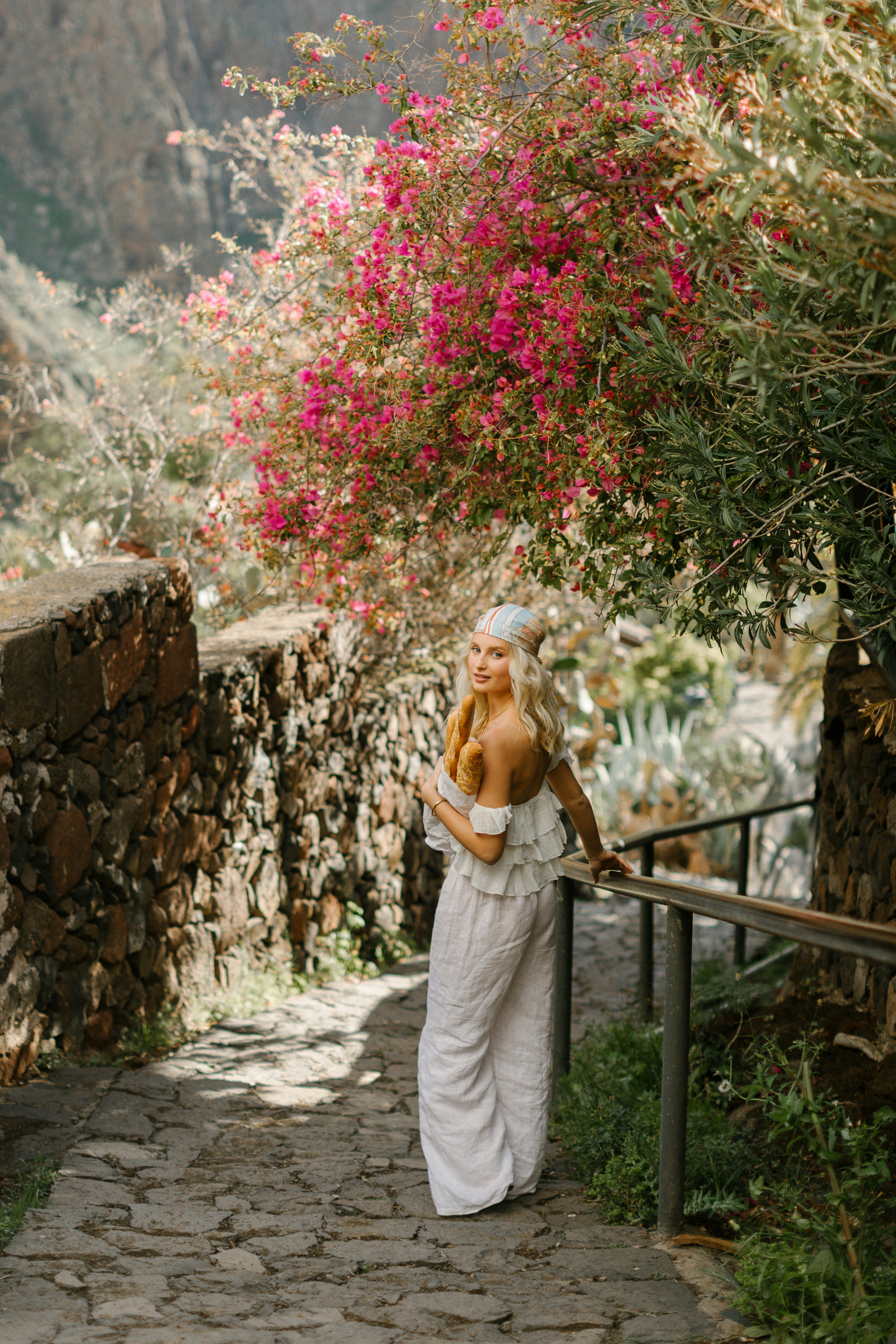 Sunlit Path of Blooming Quietude