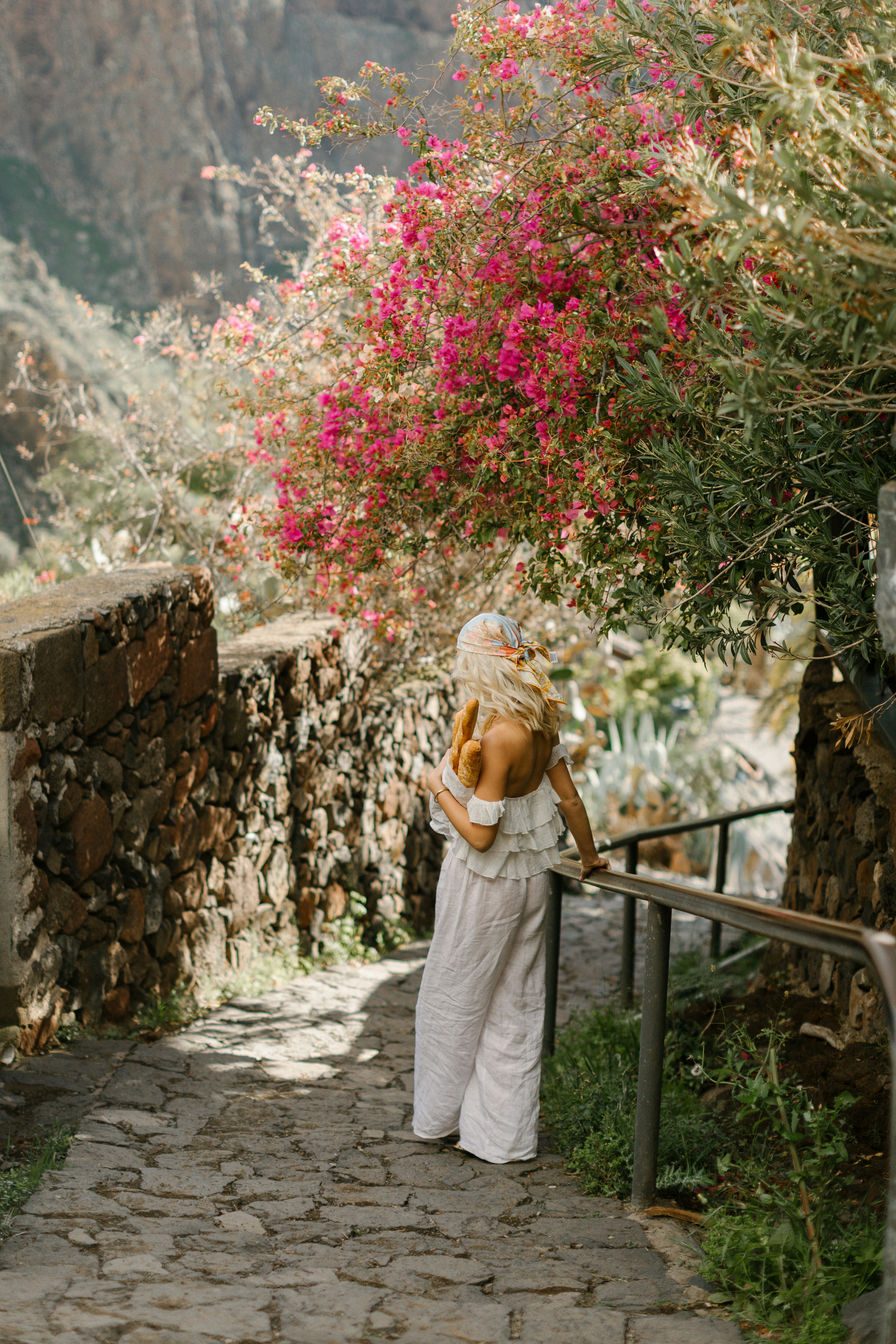 Whispered Steps Under Blooming Cliffs