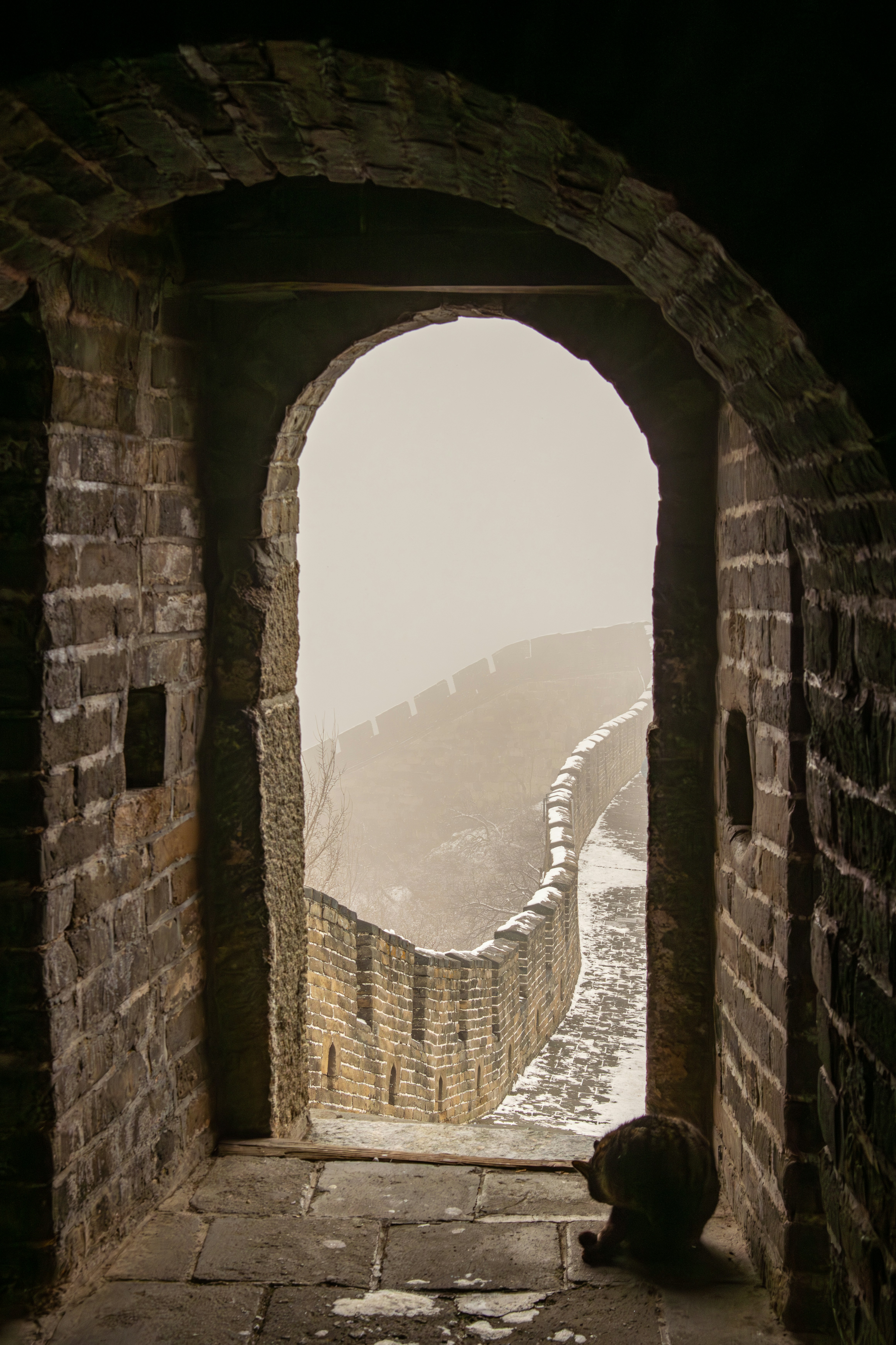 Gate of Mist: A Mouse at the Great Wall