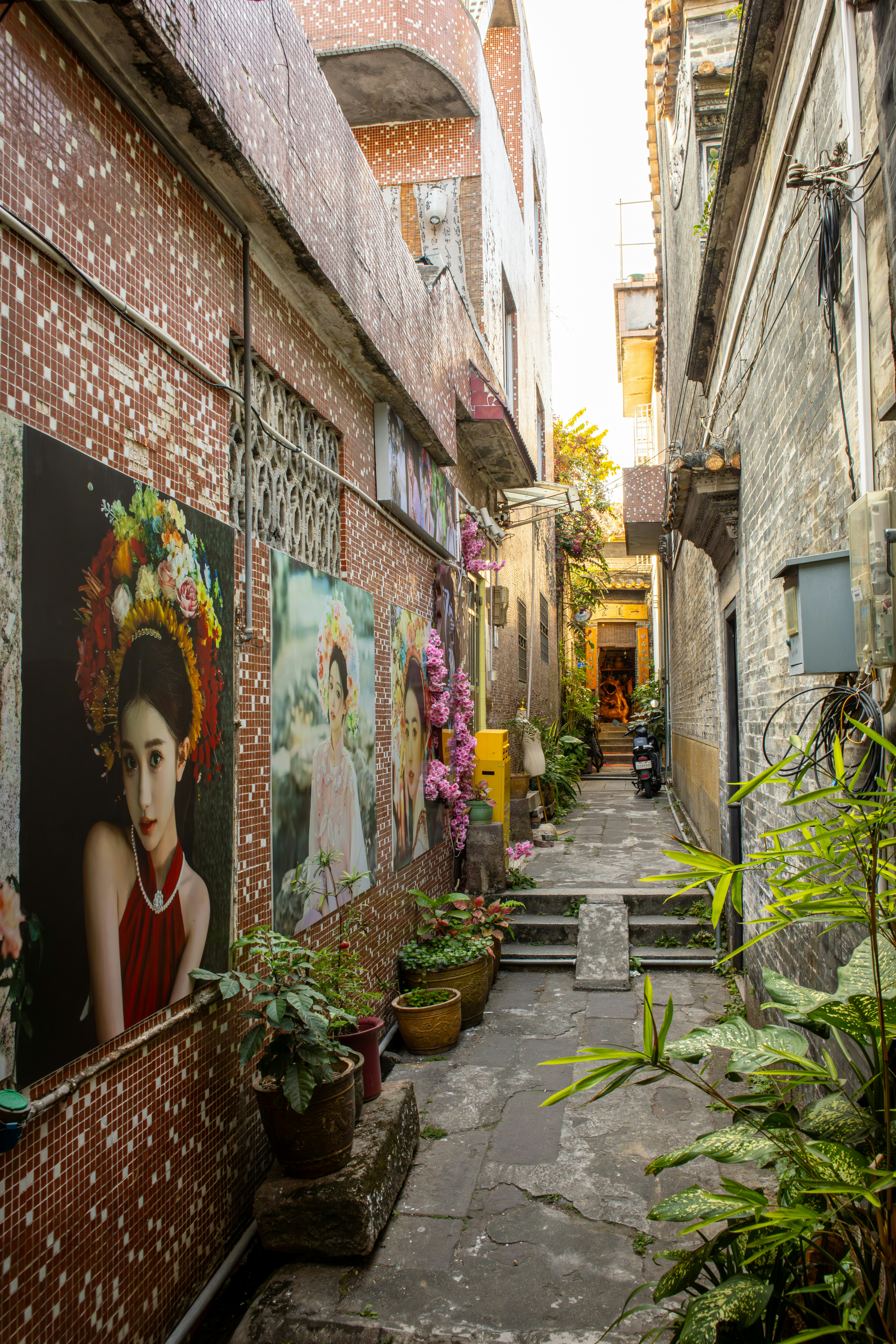 Narrow Alleyway Gallery: Plants, Posters, and a Faded Staircase to Light
