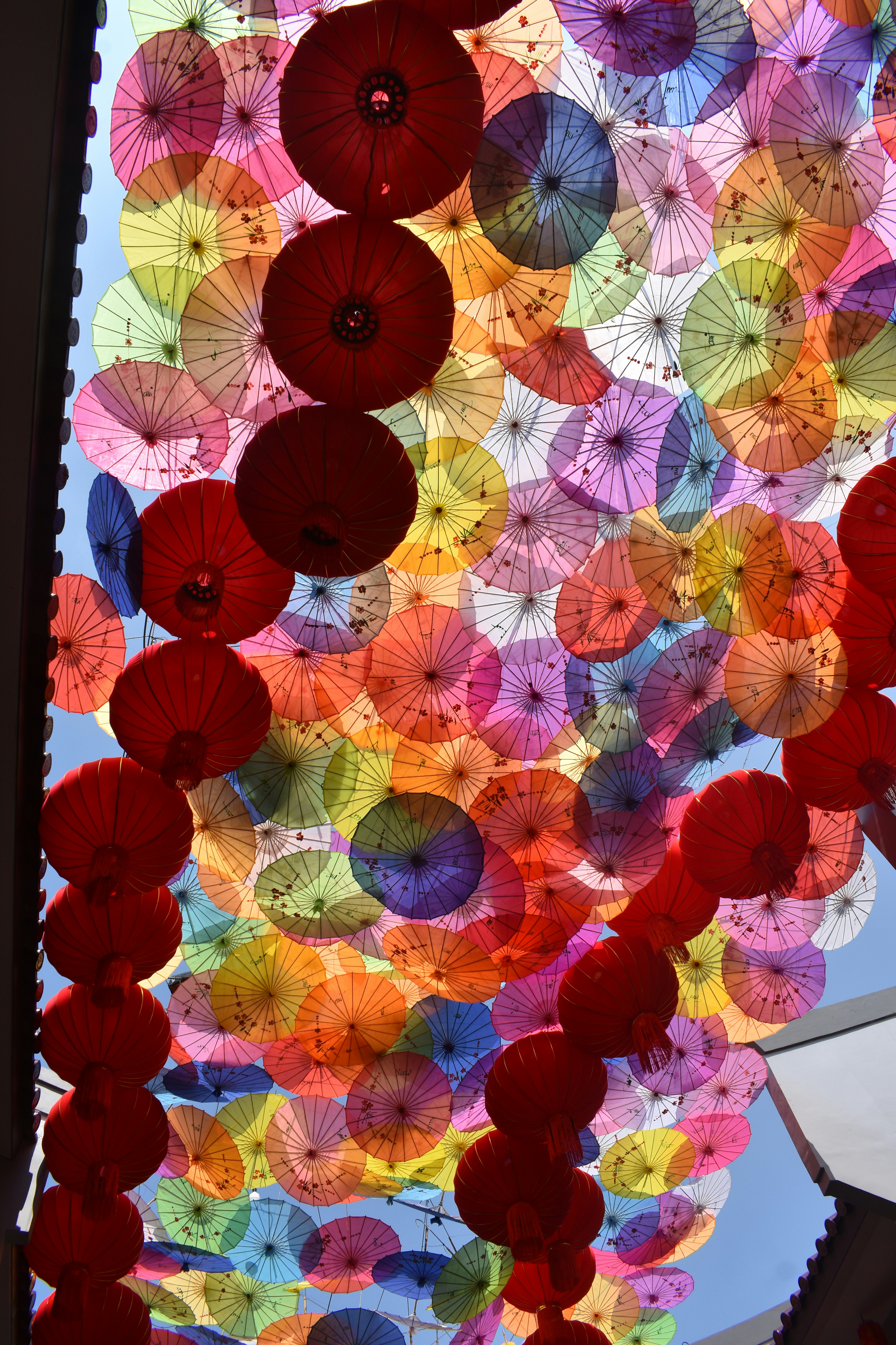 Sky of Lanterns: A Canopy of Colorful Umbrella Orbs