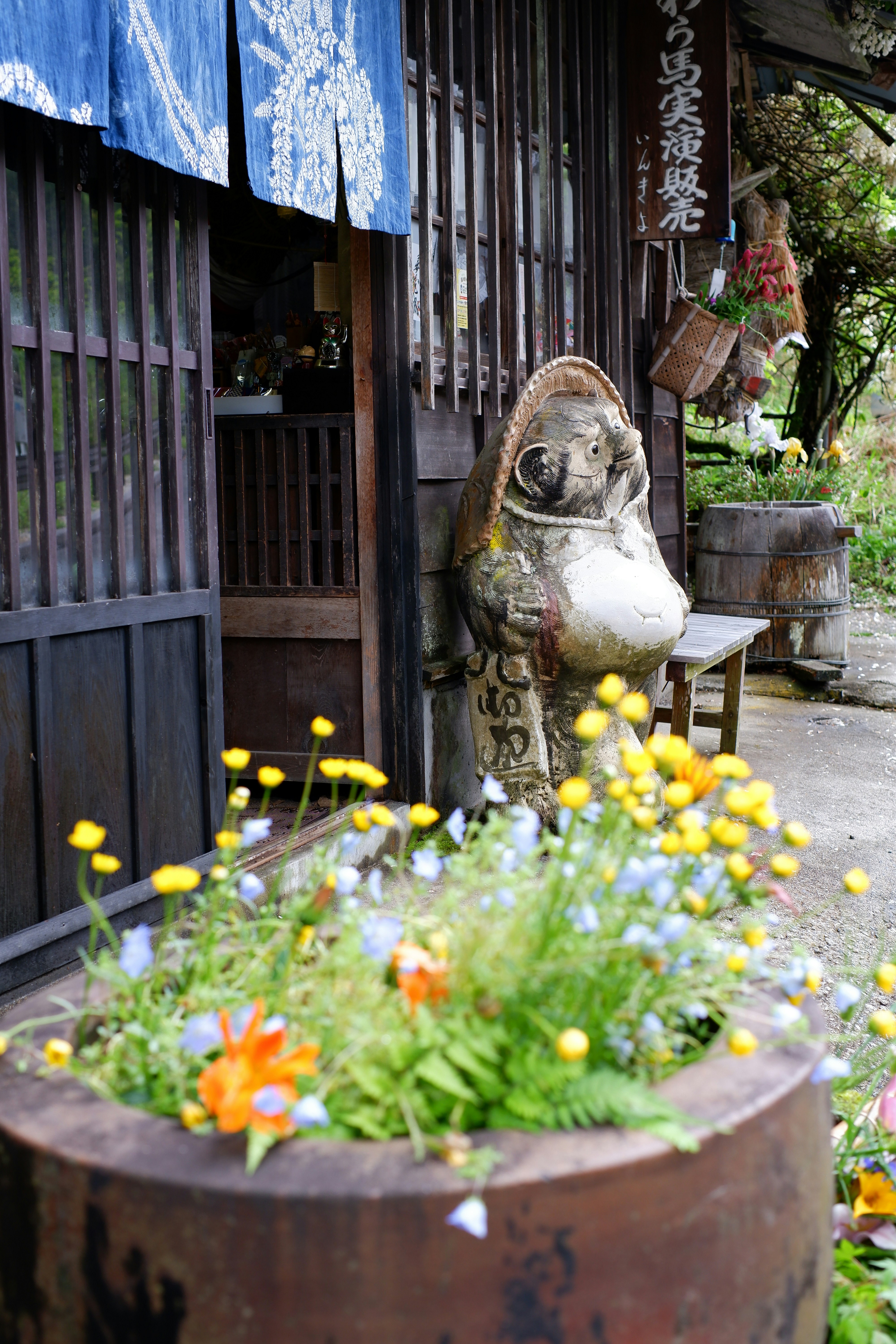 Stone Guardian and Spring Blooms by a Kyoto Lantern Shop