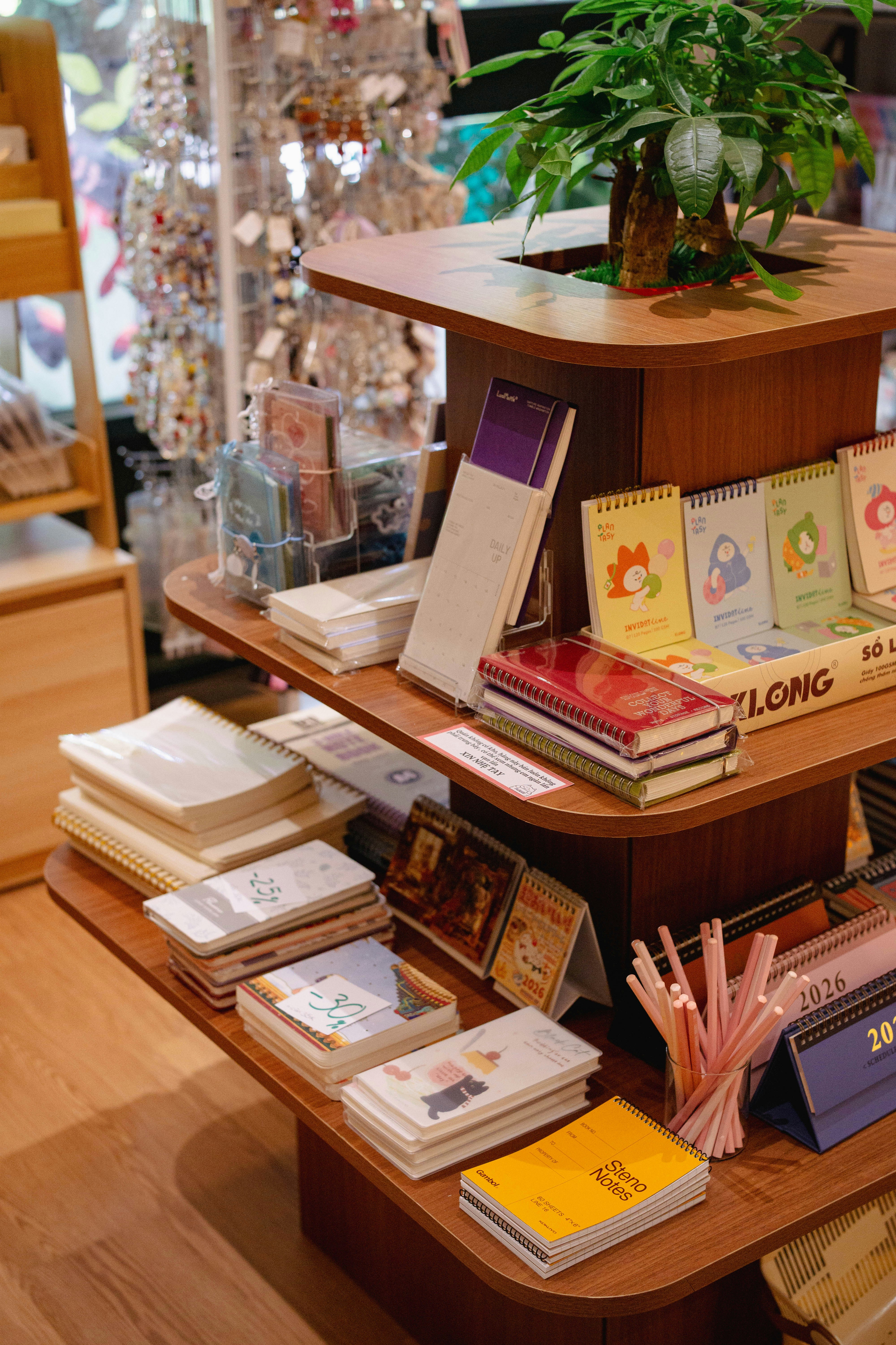 Display Stand of Stationery and Notebooks with Potted Plant Centerpiece