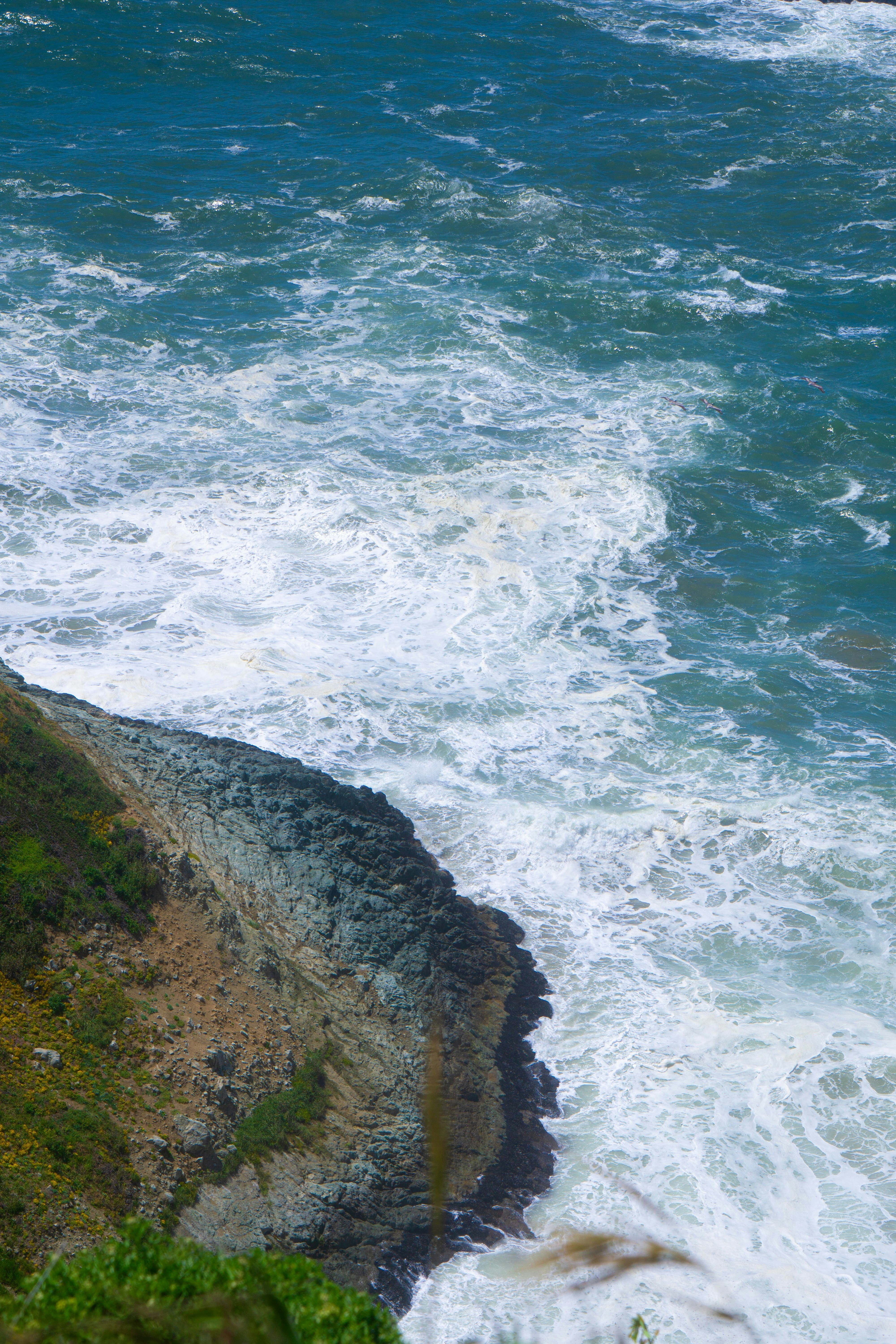 Clifftop Verge Meeting the Surf: White-Crested Breakers