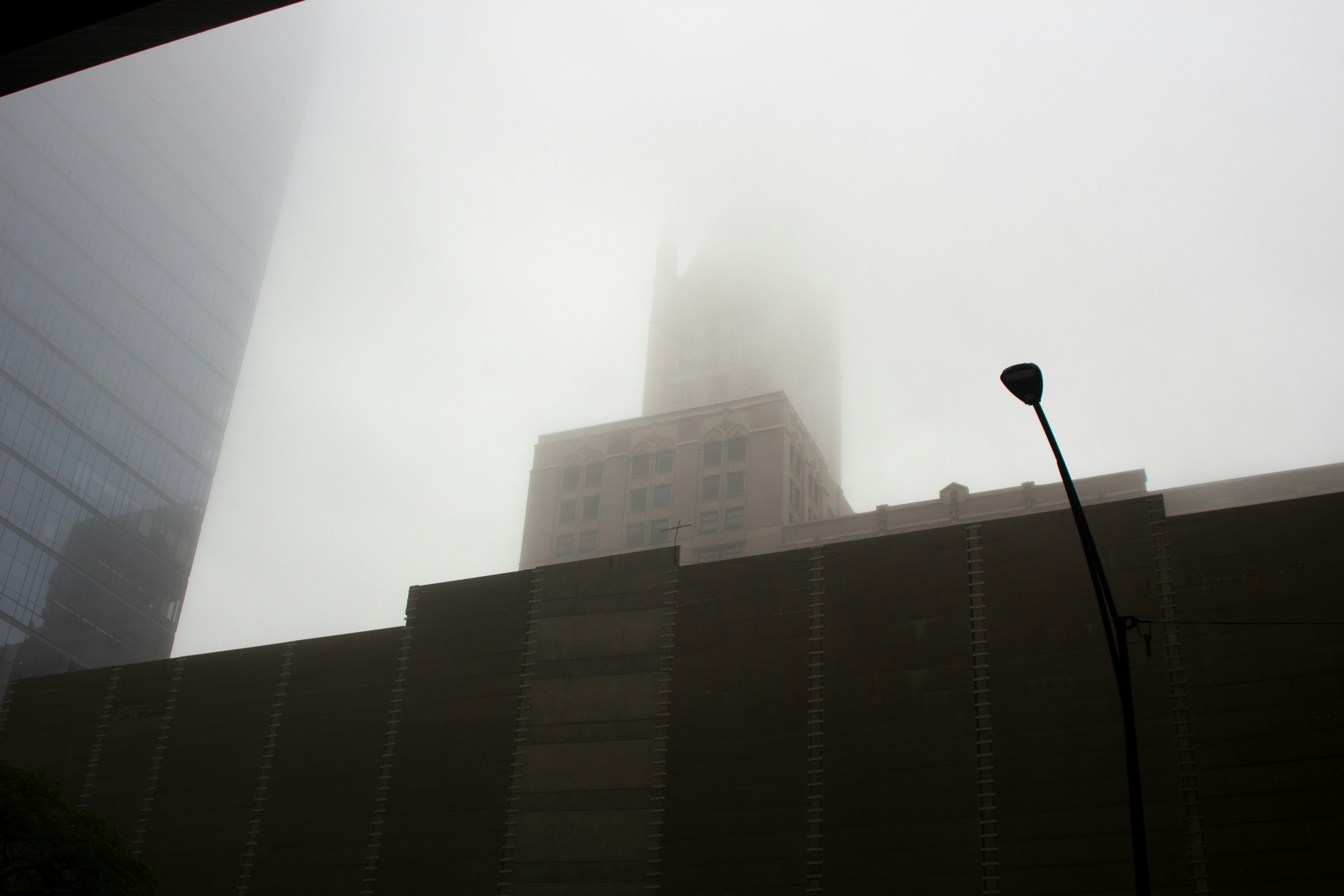 Fogbound Skyscraper Above the Shaded Street