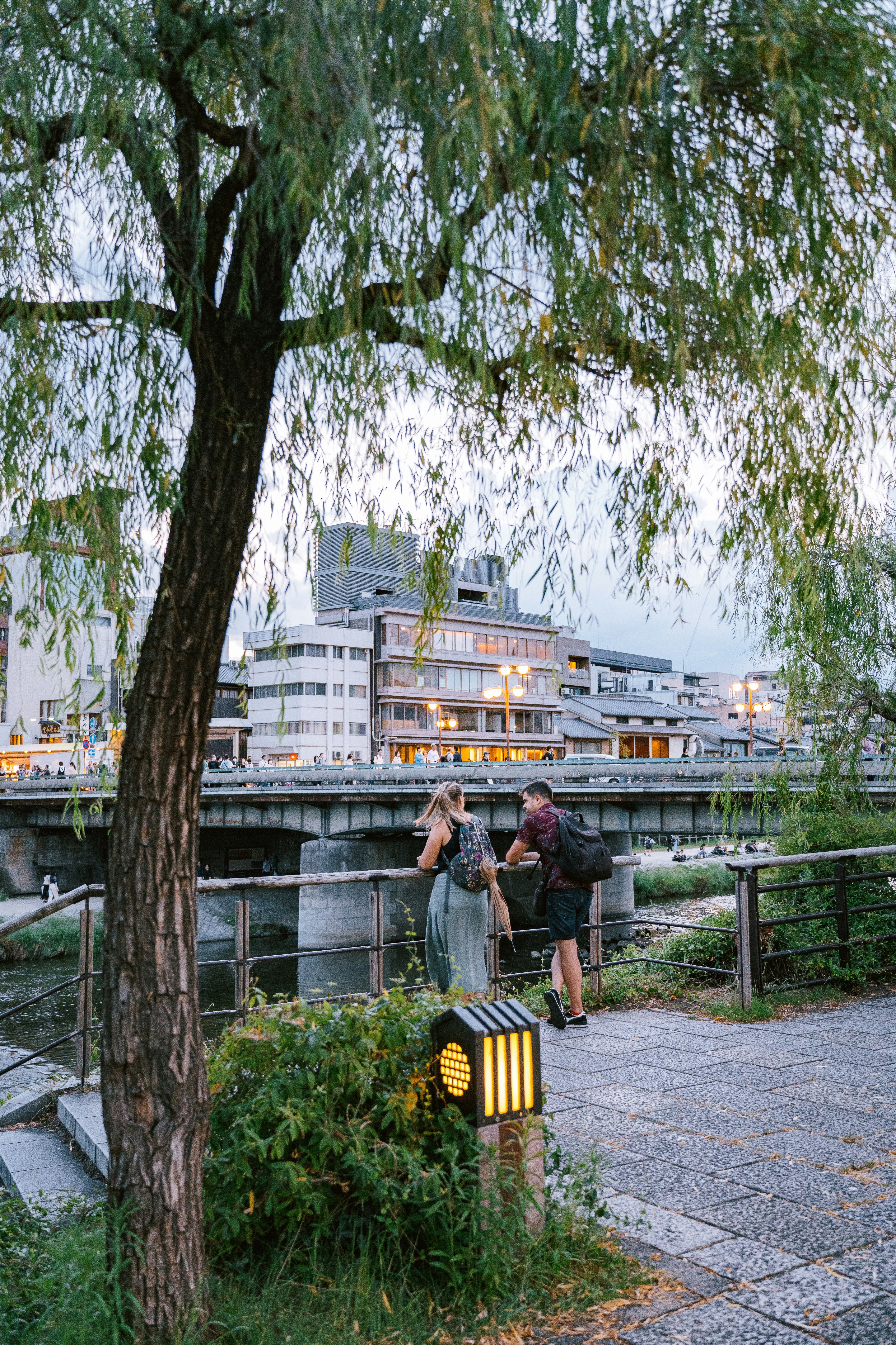 Evening by the River: Friends in Conversation Under a Weeping Tree