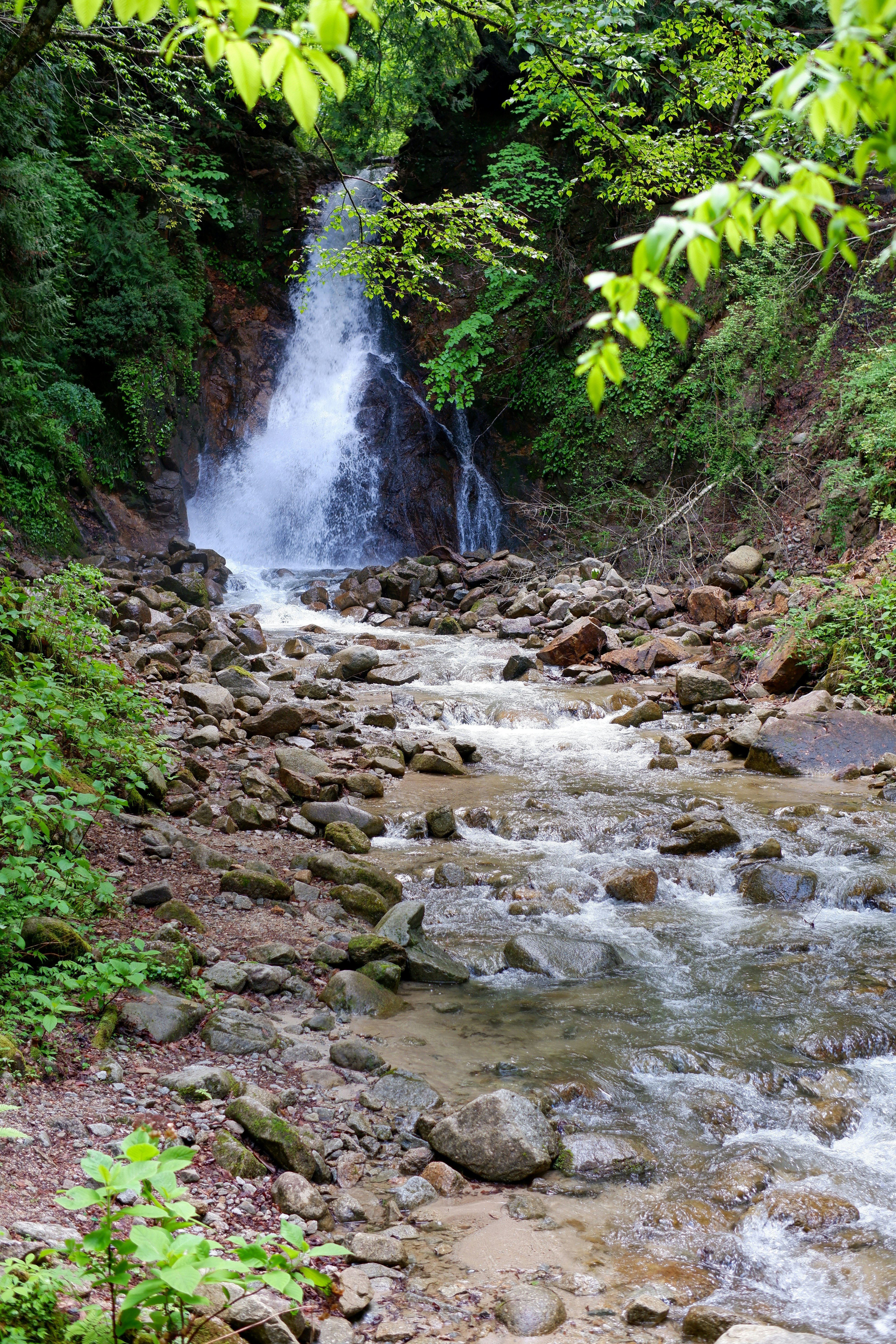 Whispering Falls Amid Verdant Canyon