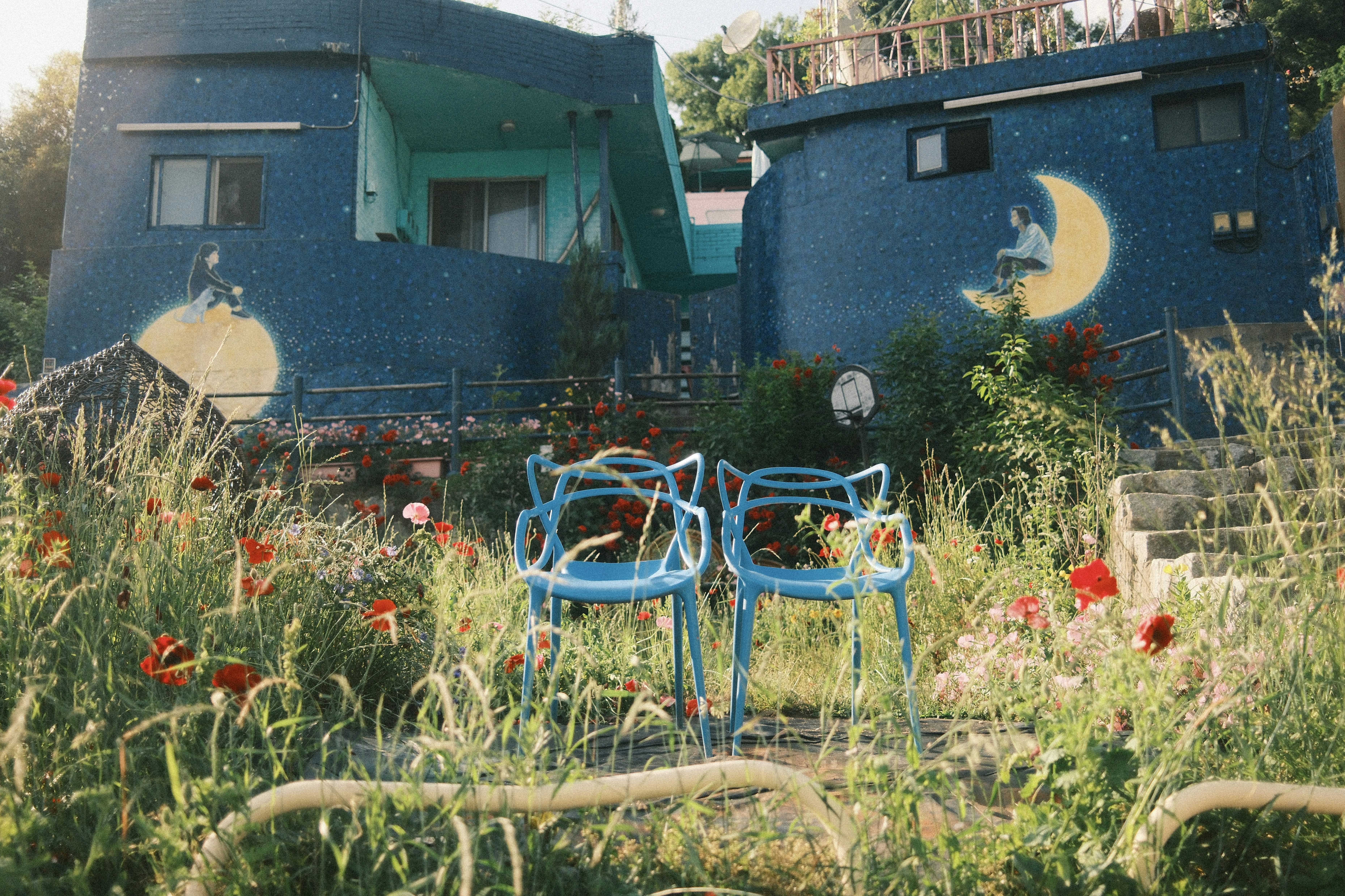 Blue House Courtyard with Moonlit Murals and Petal Garden