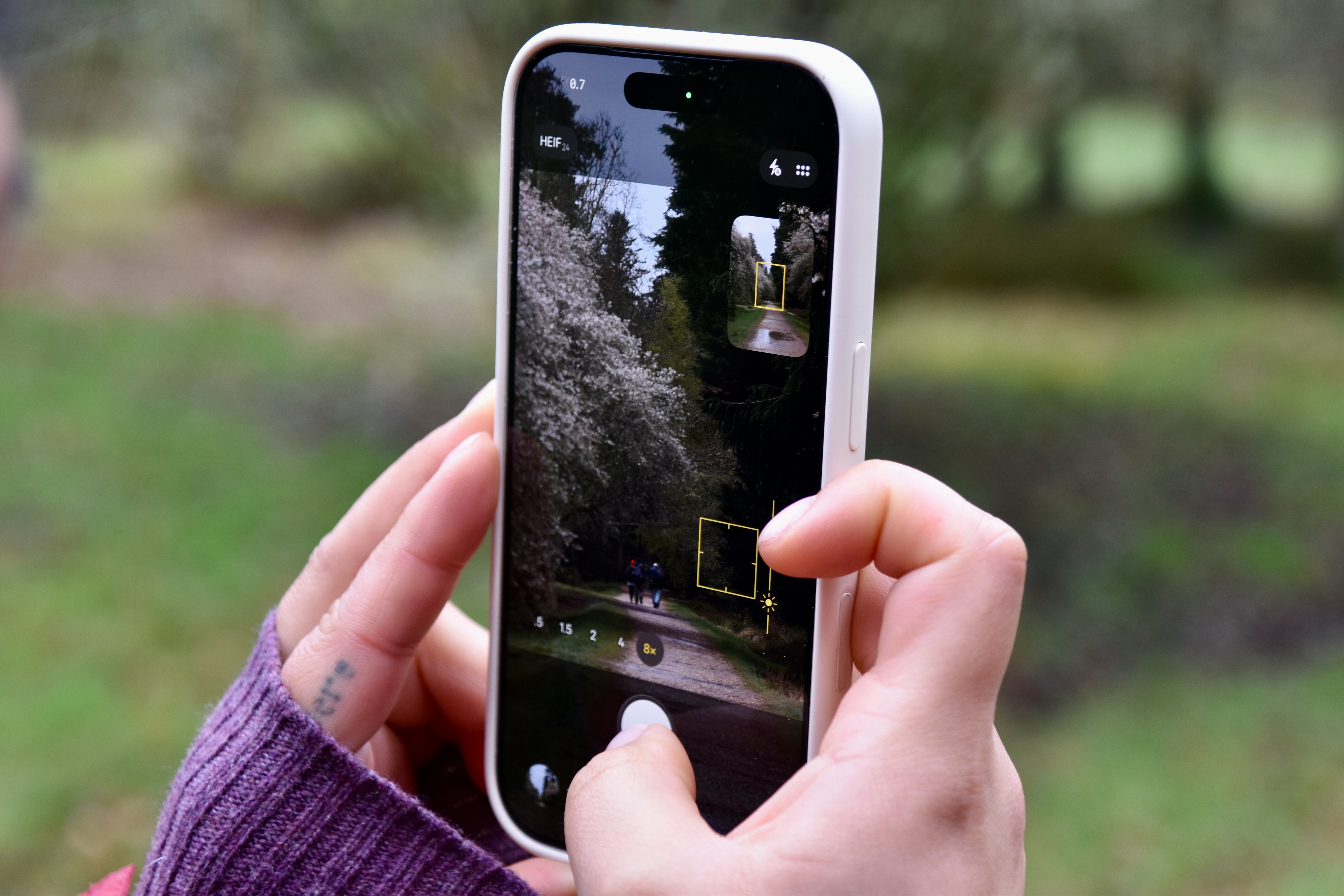 Capturing a Silent Moment: Hands Framing a Phone in the Park