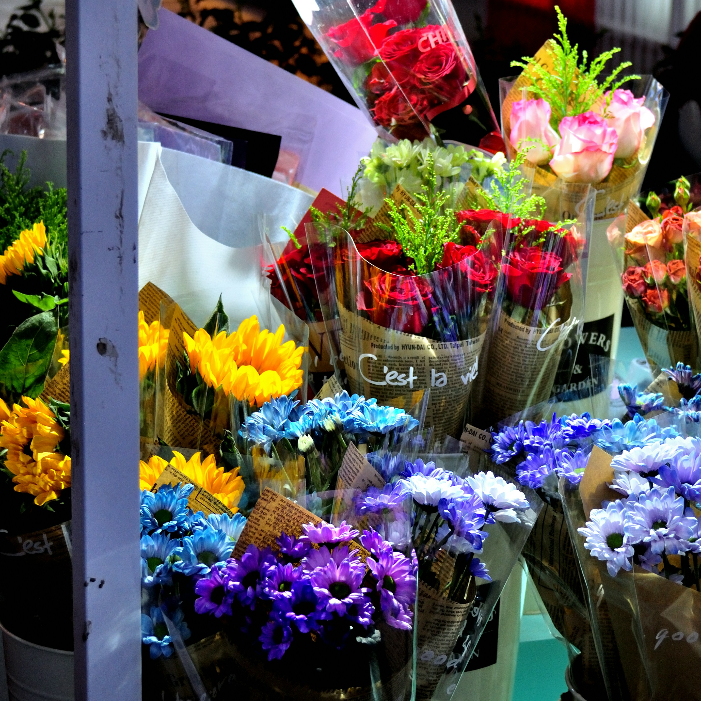 Bouquet Bounty: Colorful Roses and Chrysanthemums in Clear Wraps