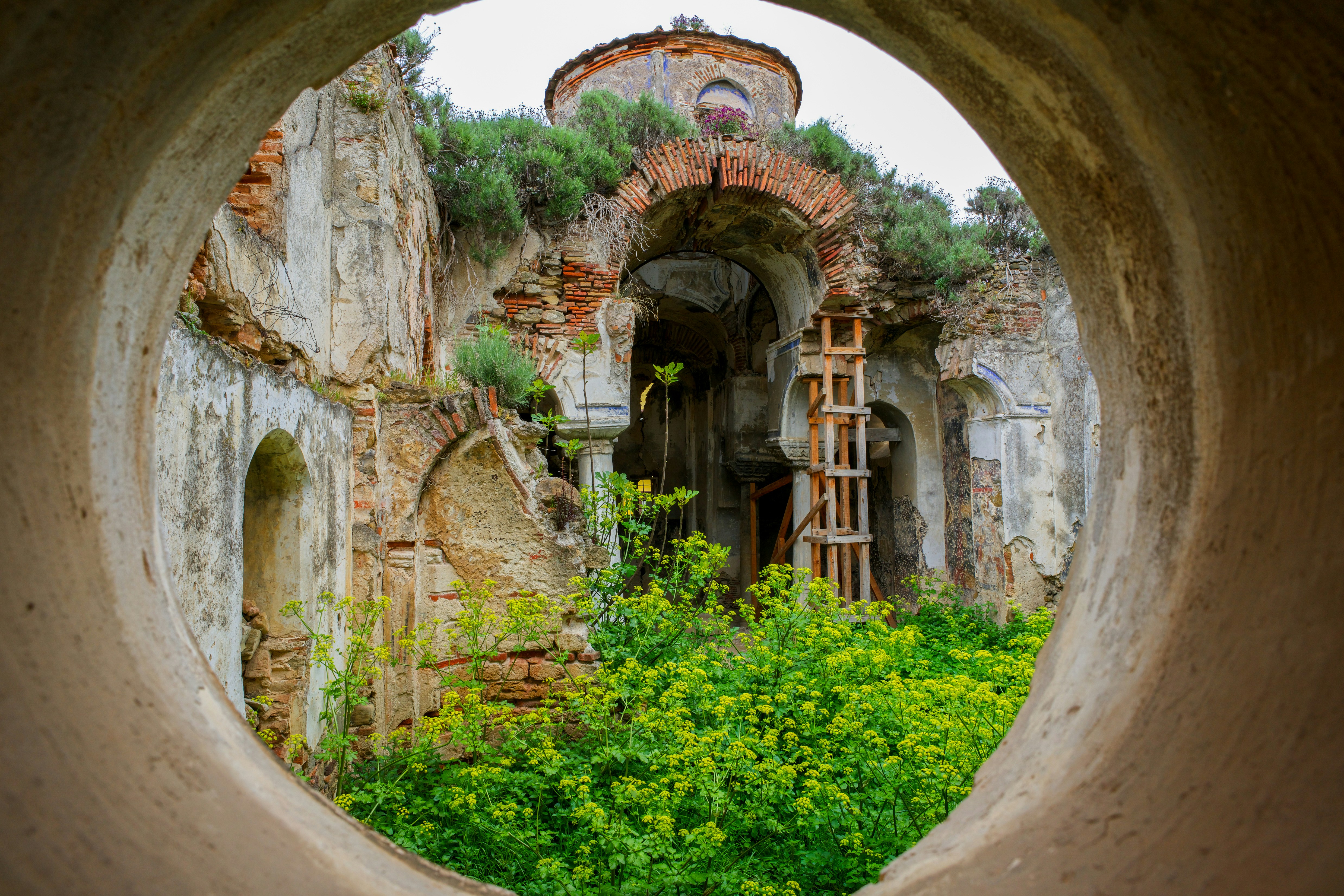 Circle of Ruins: Greenery Survives the Old Arch
