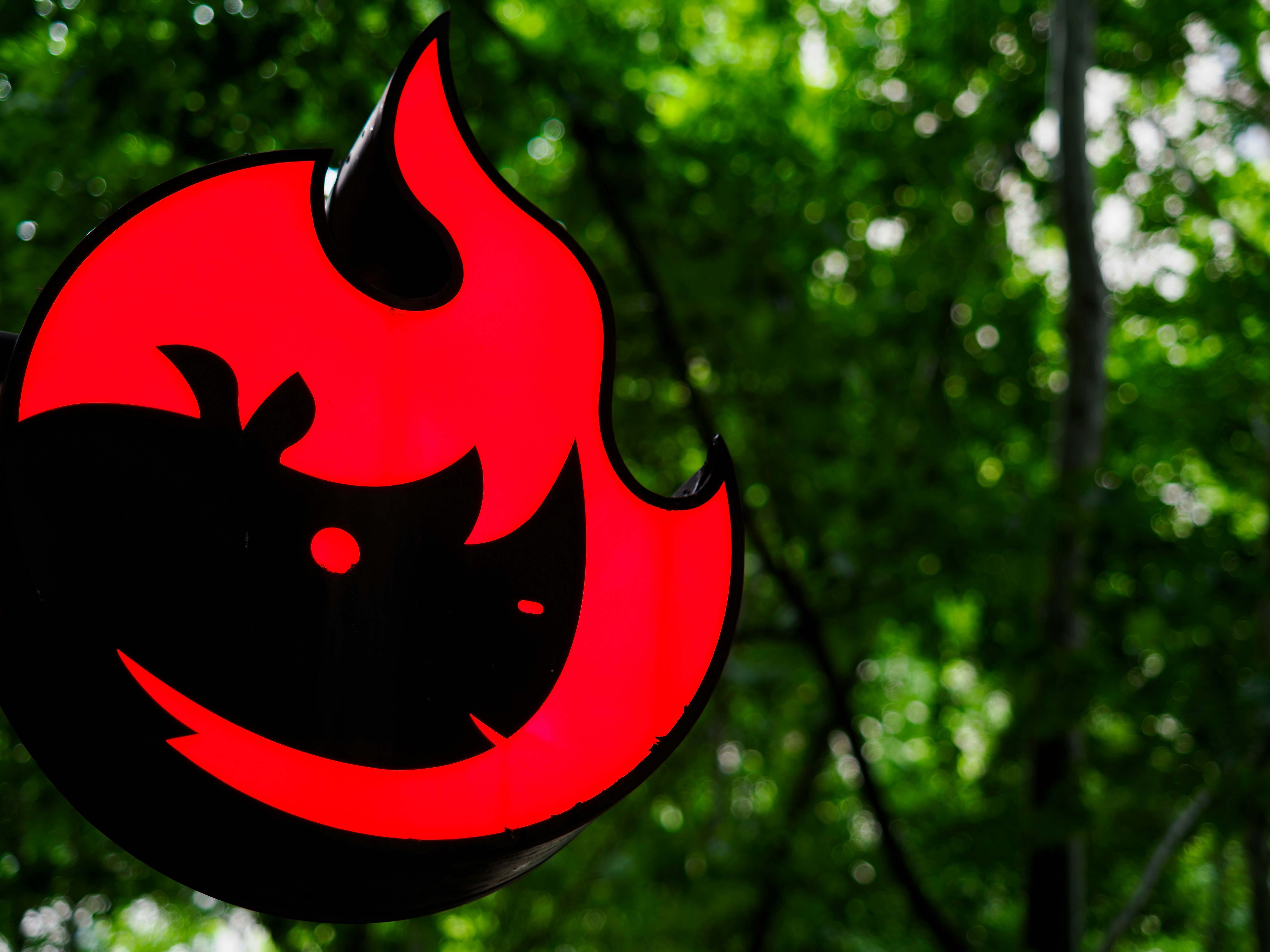 Flaming logo in a sunlit forest glow
