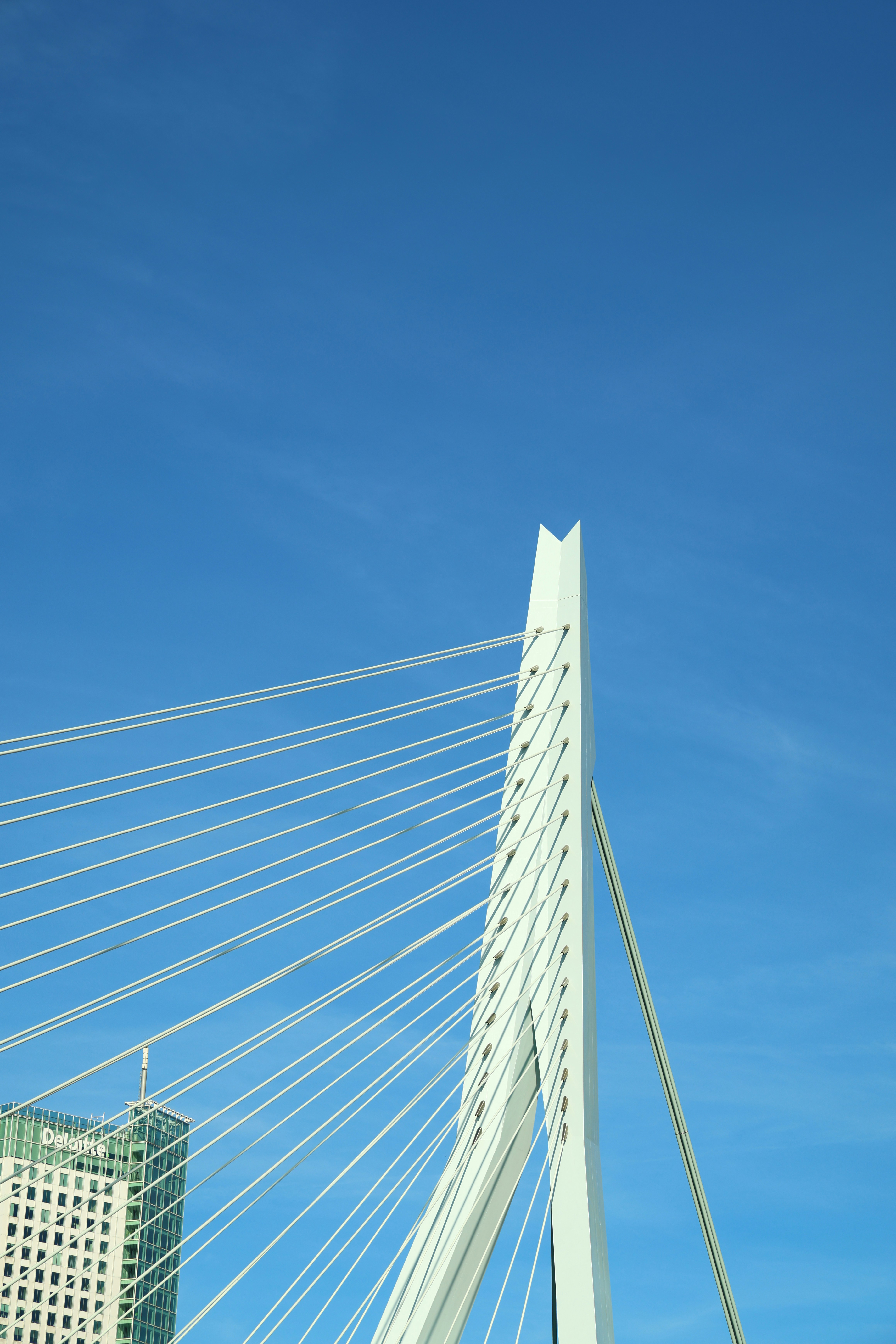 Cable-stayed Helix: A White Pylon Reaches into the Blue