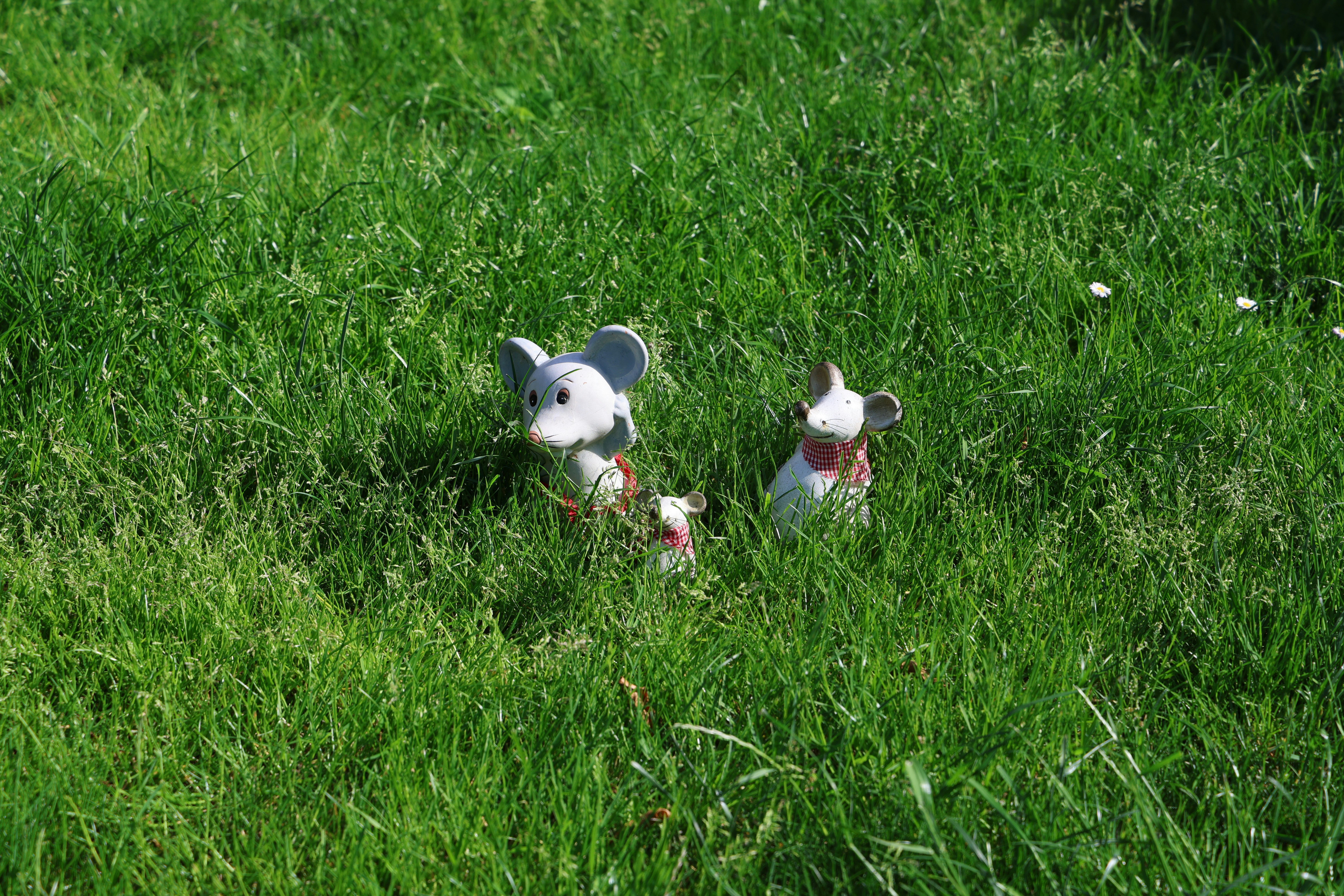 Three Tiny Mice in a Sunlit Summer Meadow