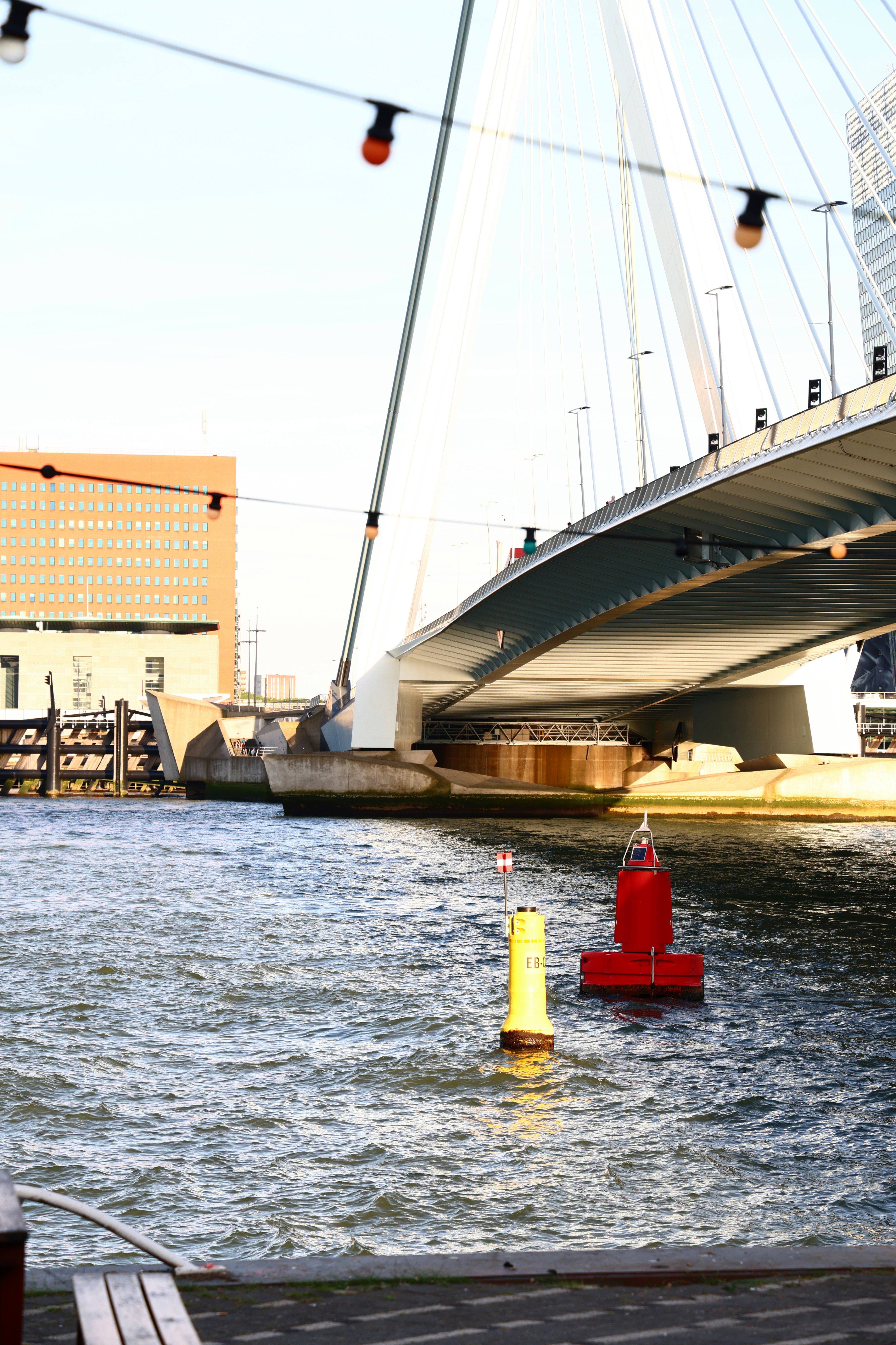 Cable-Stayed Bridge Quietly Over the River