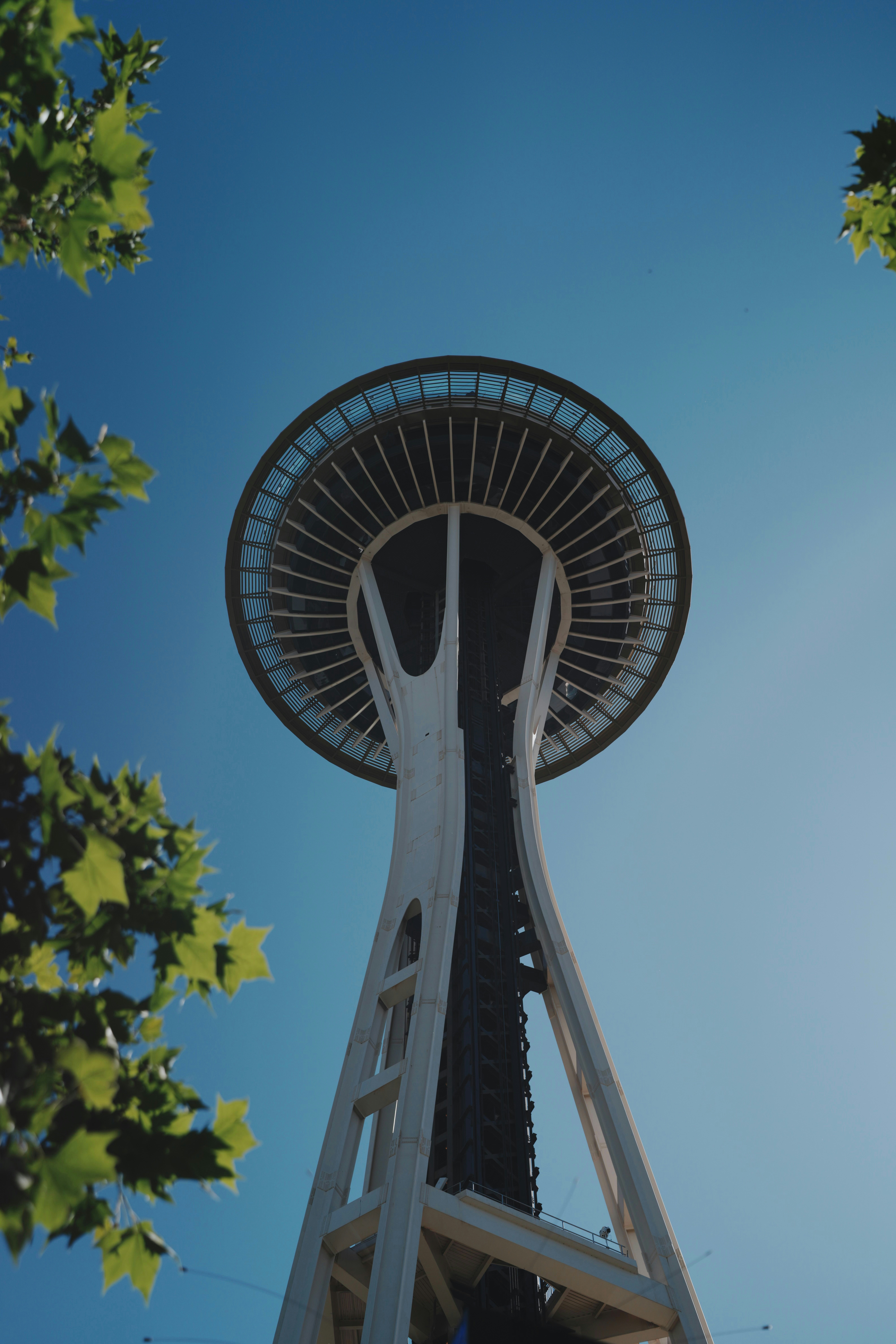 Seattle's Skyward Icon: The Needle Surging into Blue