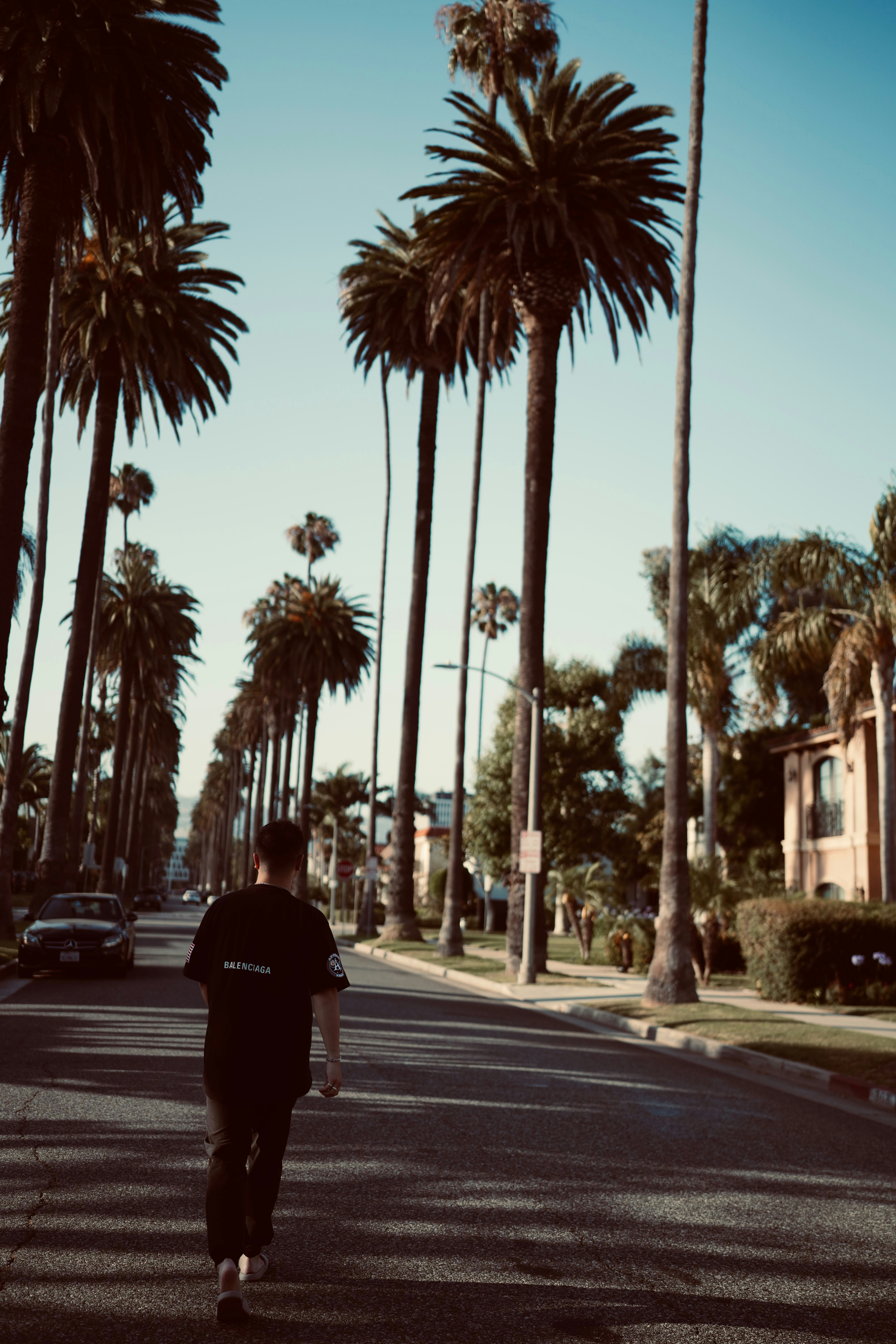 Palm Boulevard: A Lone Jogger Beneath Towering Guardians