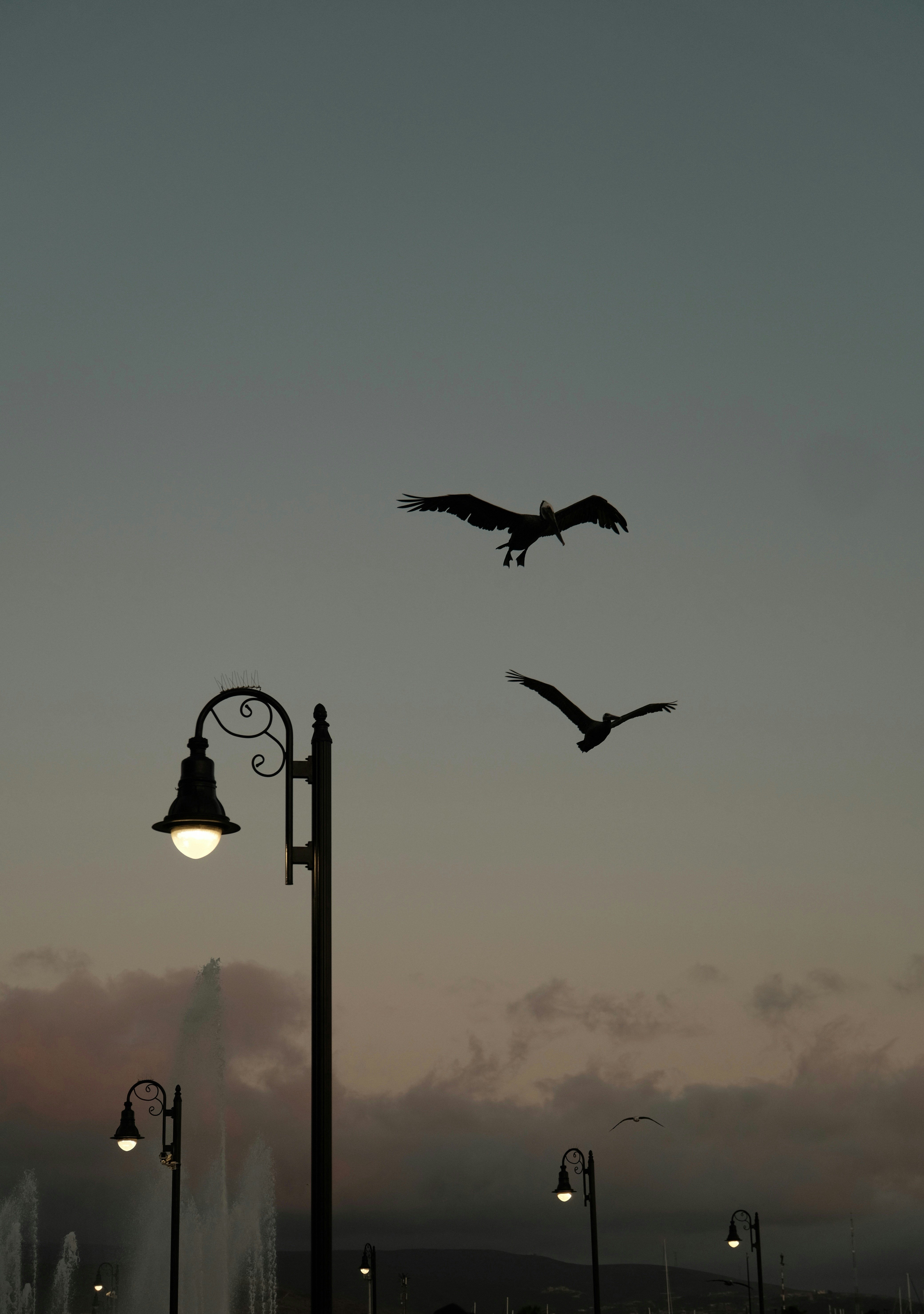 Twilight Flight Over Lantern-lit Pier