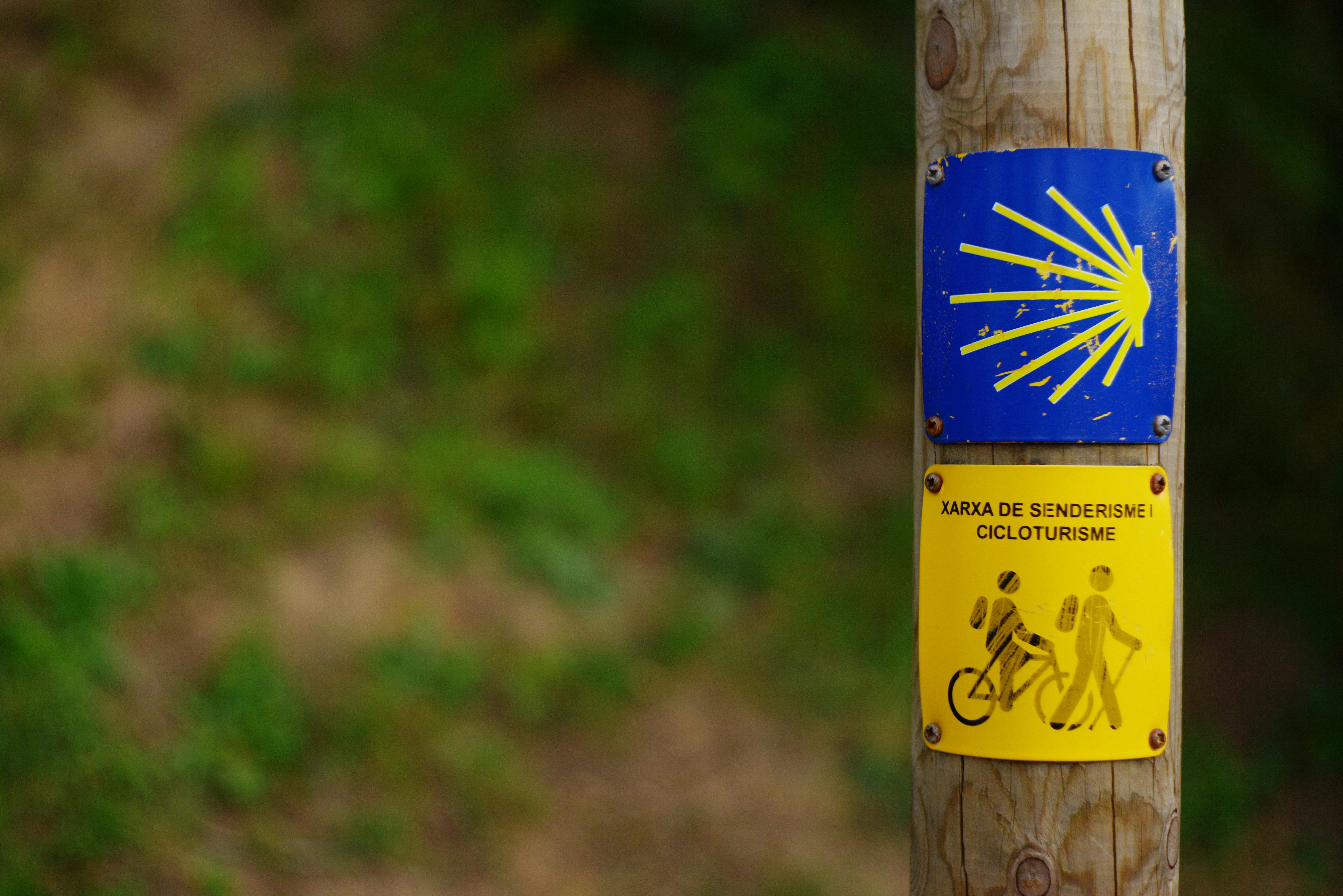 Trail Marker with Cycling and Hiking Signpost